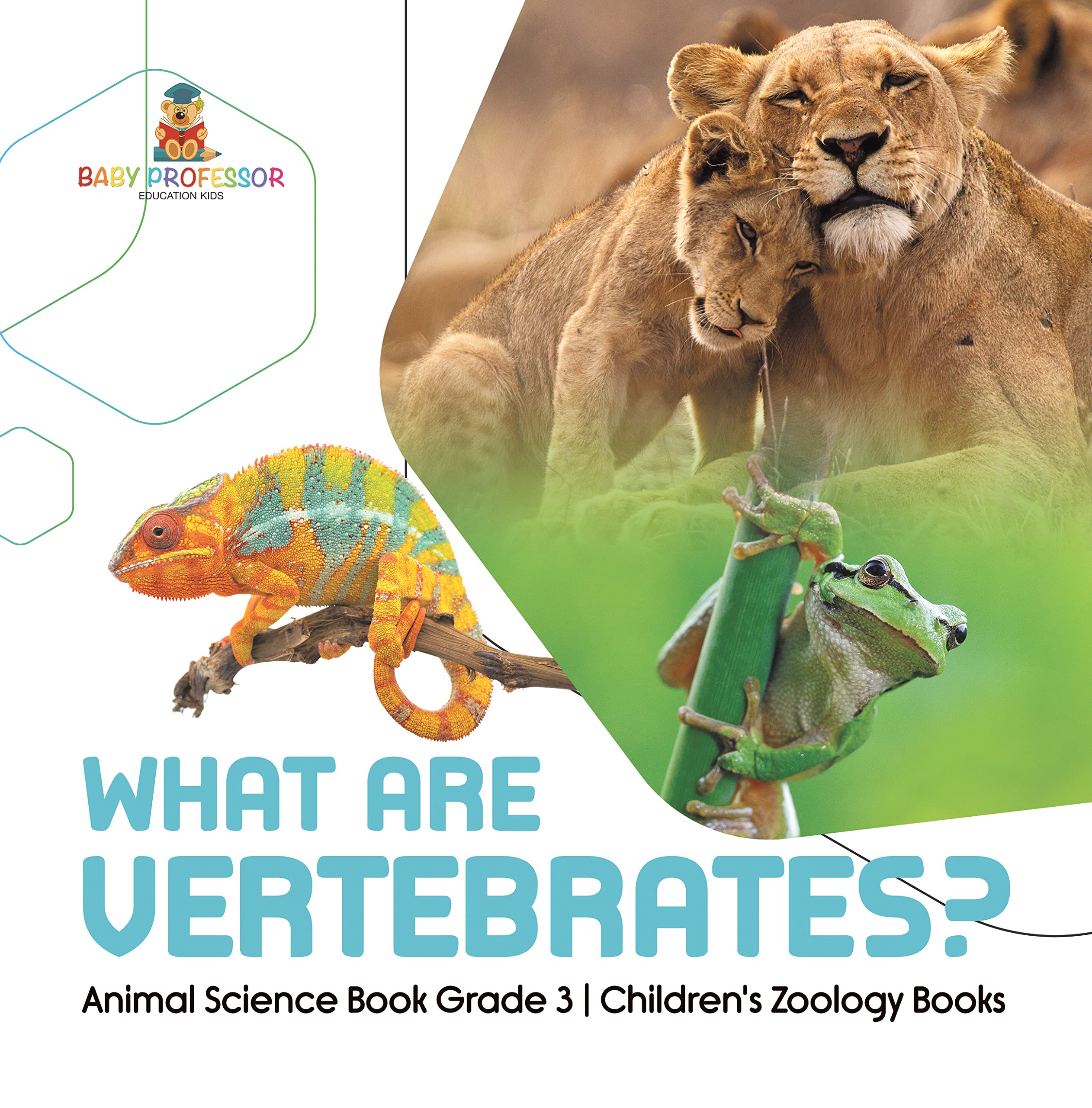 What Are Vertebrates? | Animal Science Book Grade 3 | Children's ...