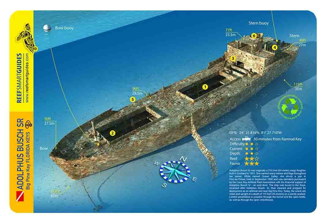 Adolphus Busch Wreck Florida Keys Waterproof Dive Card by Reef Smart ...
