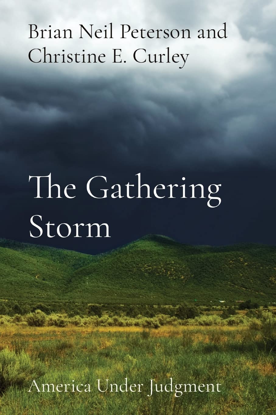 The Gathering Storm: America Under Judgment by Brian Neil Peterson ...