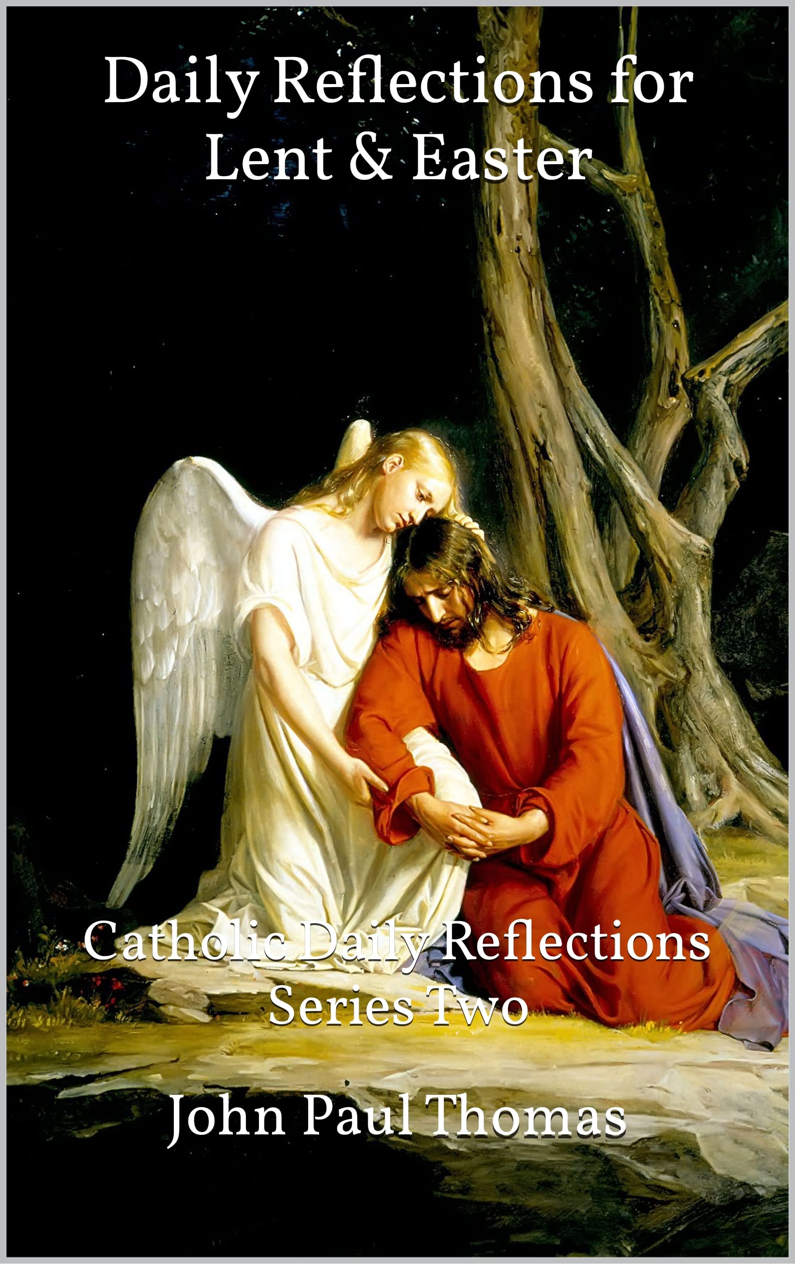 Daily Reflections for Lent & Easter: Catholic Daily Reflections Series ...