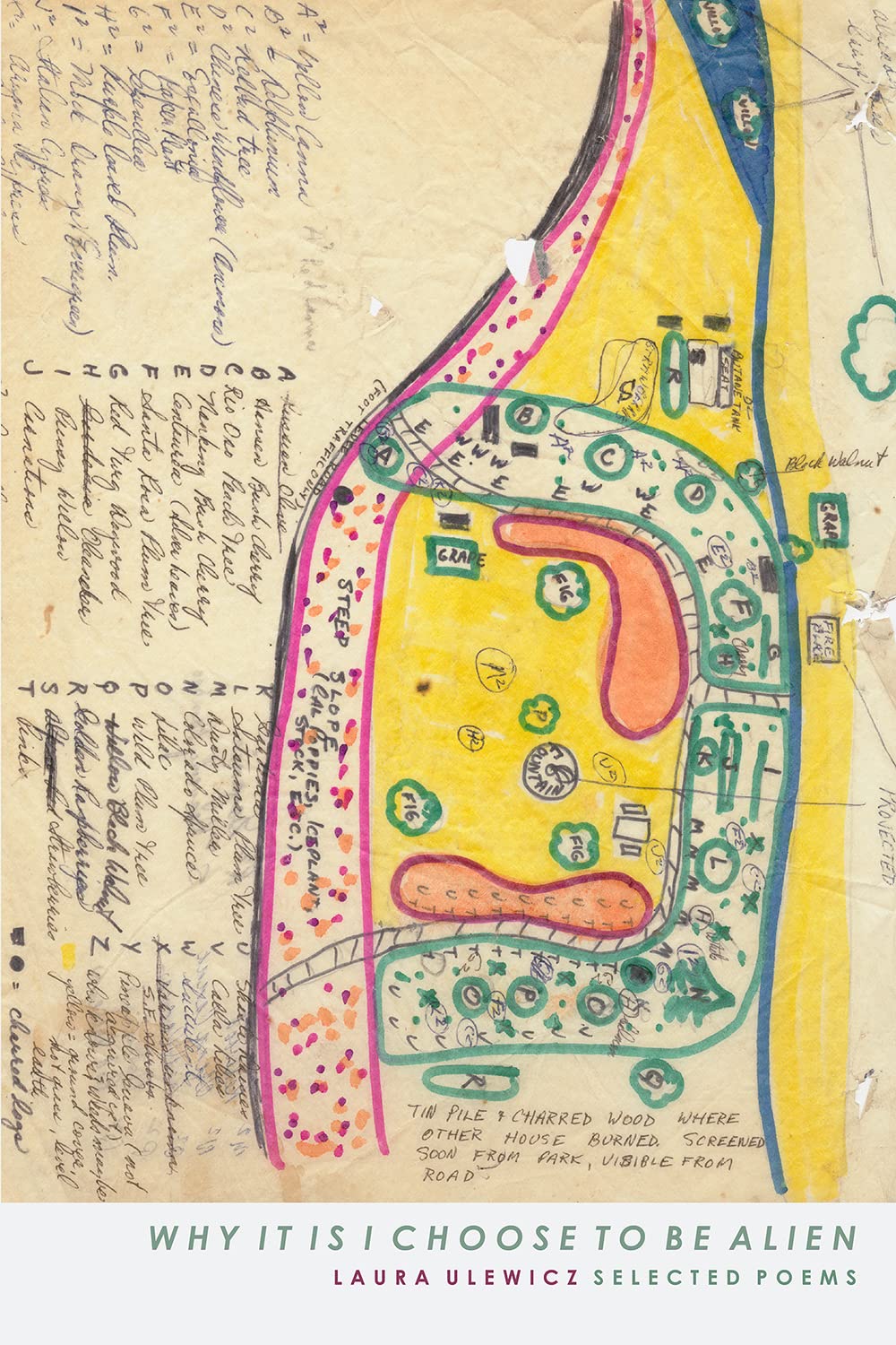 Why It Is I Choose to Be Alien: Selected Poems of Laura Ulewicz by ...