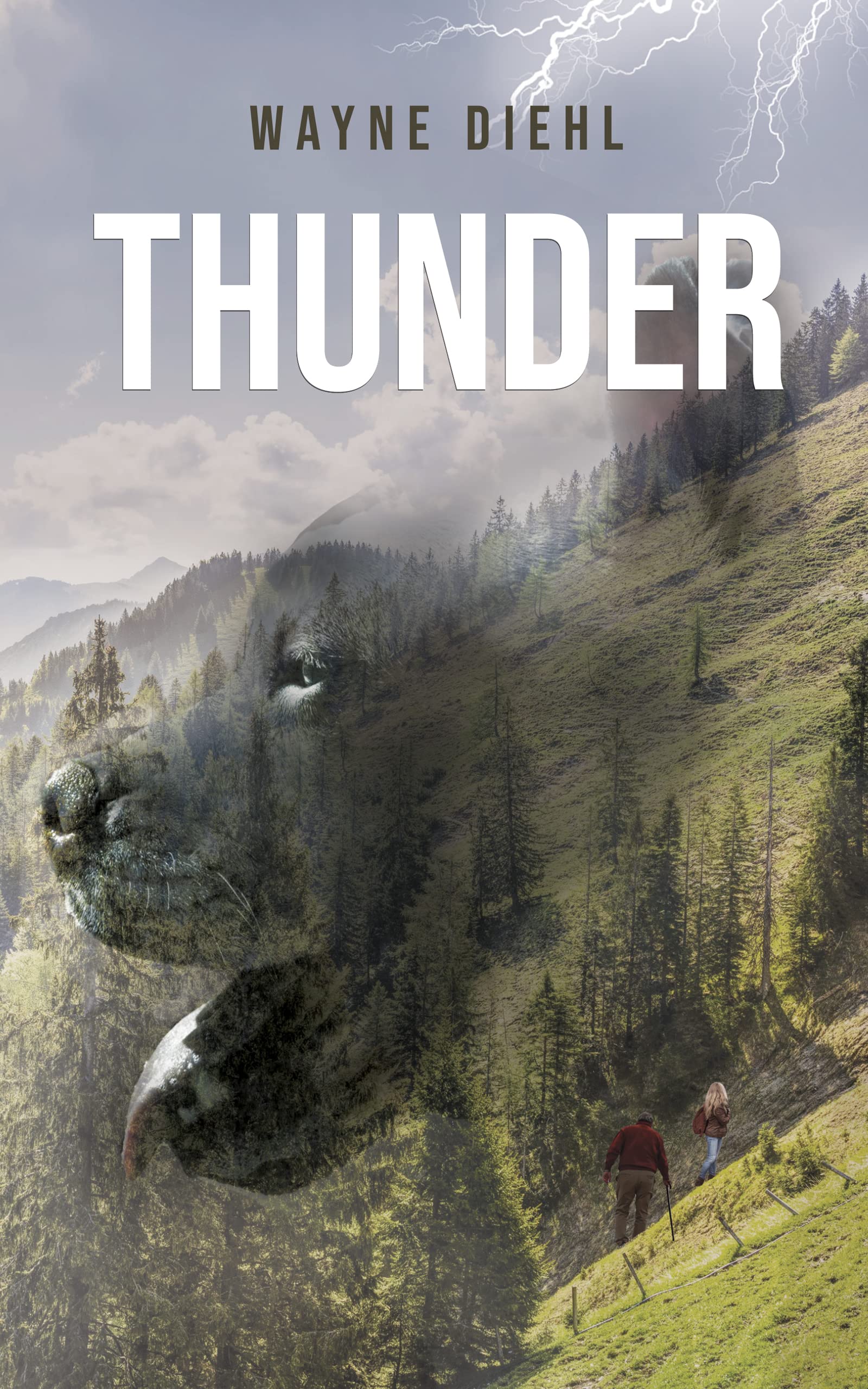 Thunder by Wayne Diehl | Goodreads