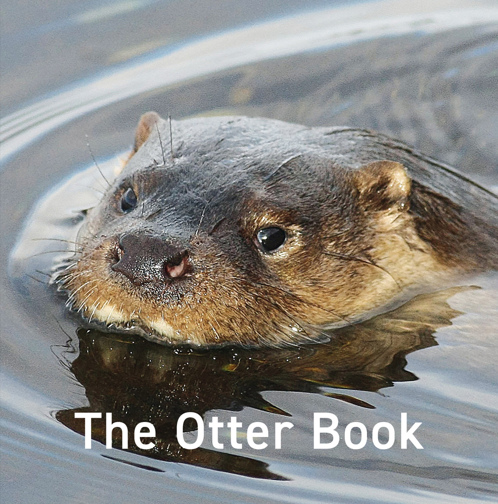 The Otter Book (The Nature Book Series) by Jo Byrne | Goodreads
