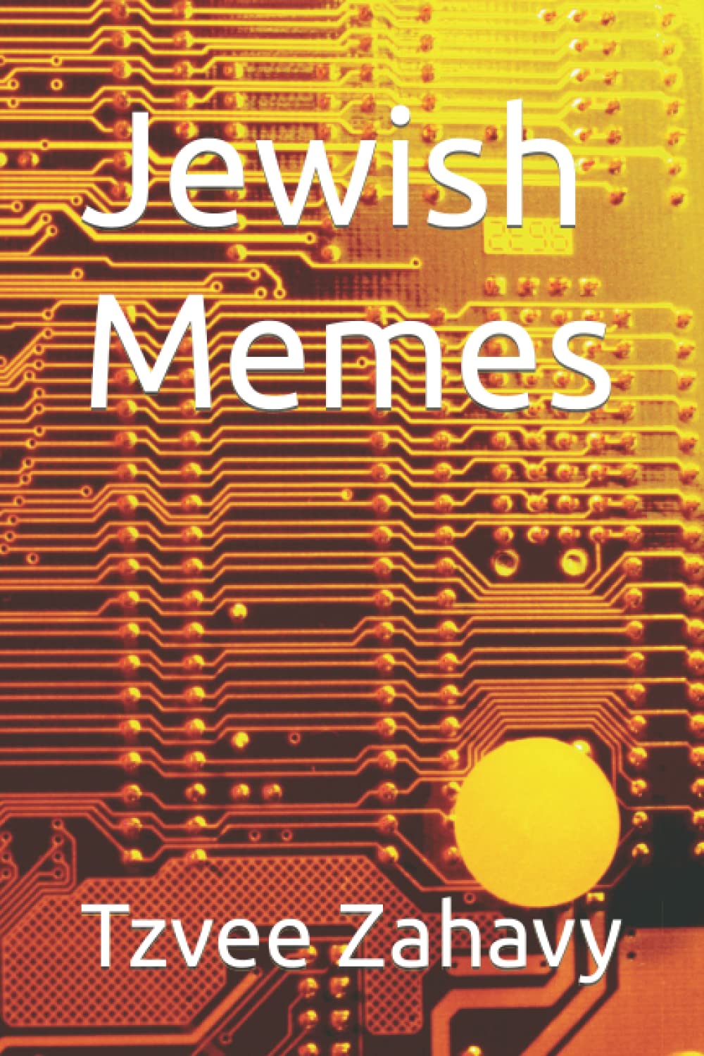 Jewish Memes by Tzvee Zahavy | Goodreads