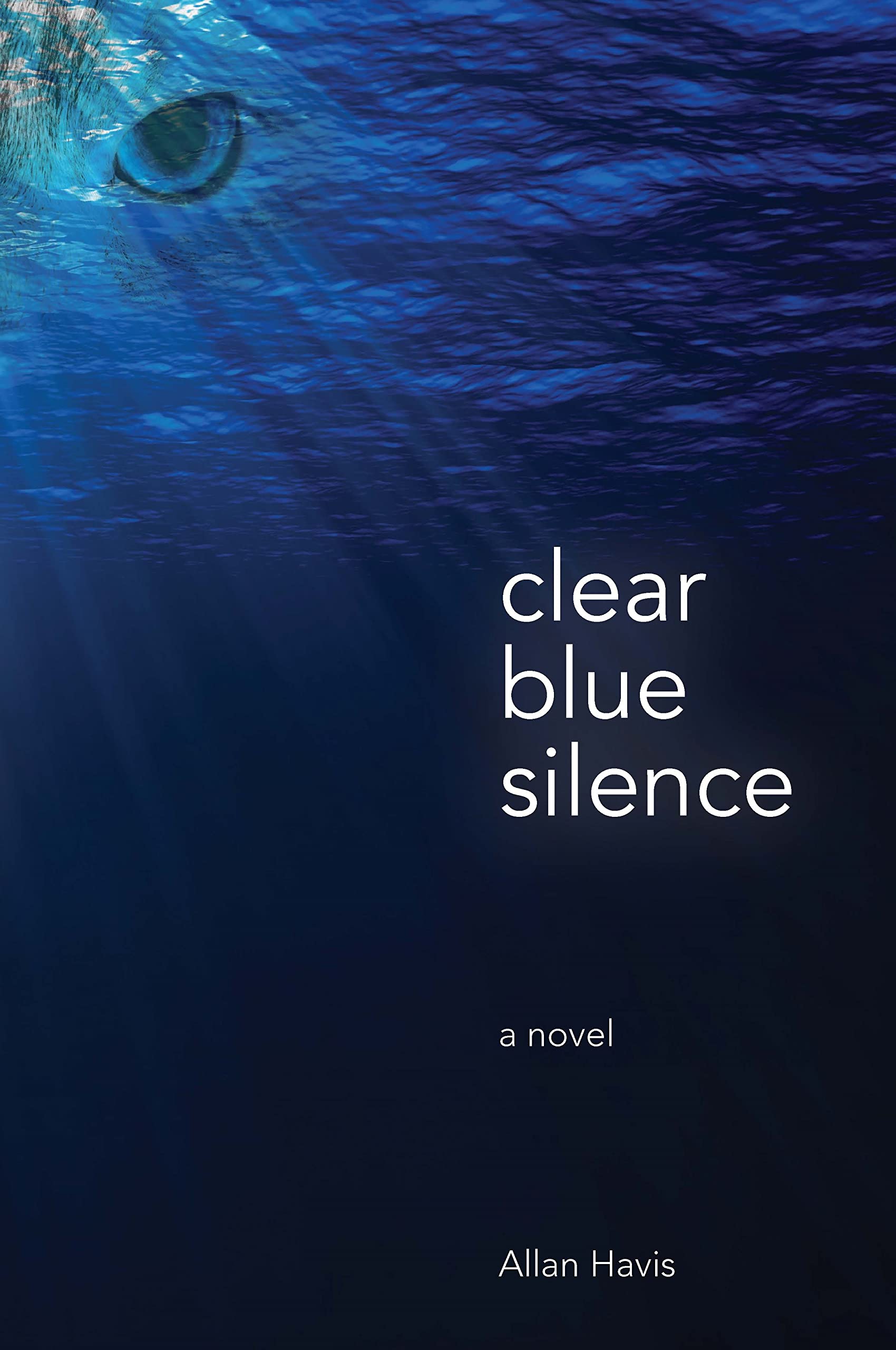 Clear Blue Silence: A Novel by Allan Havis | Goodreads