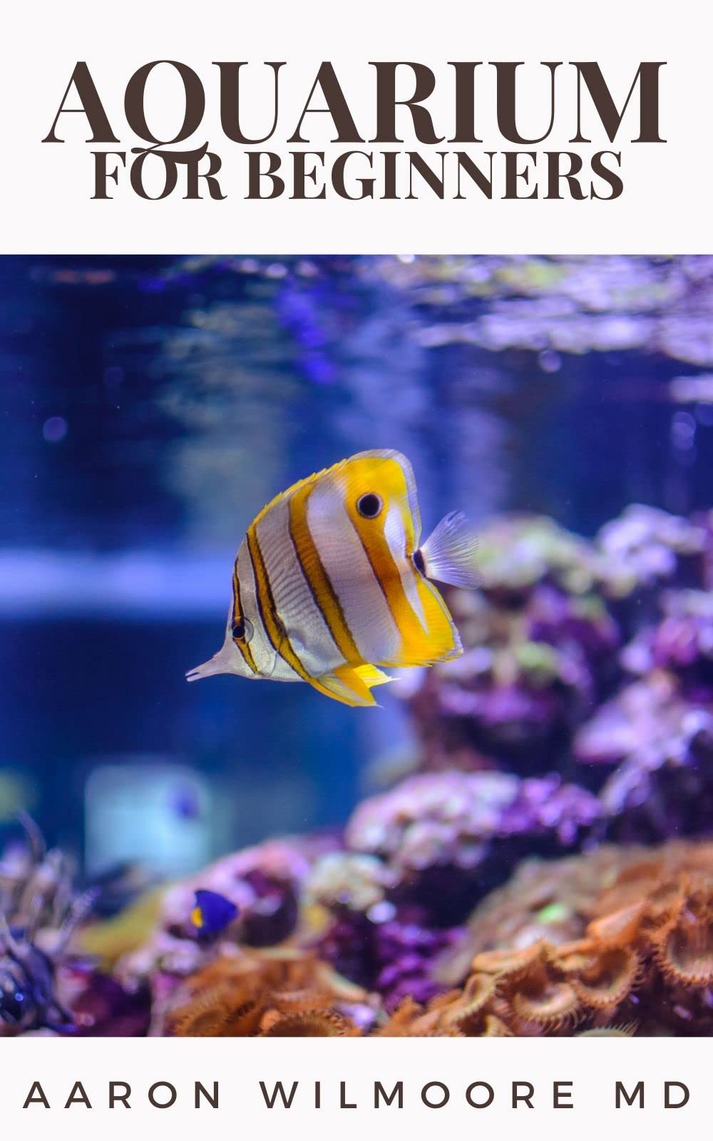 AQUARIUM FOR BEGINNERS: the complete guides on everything you need to ...