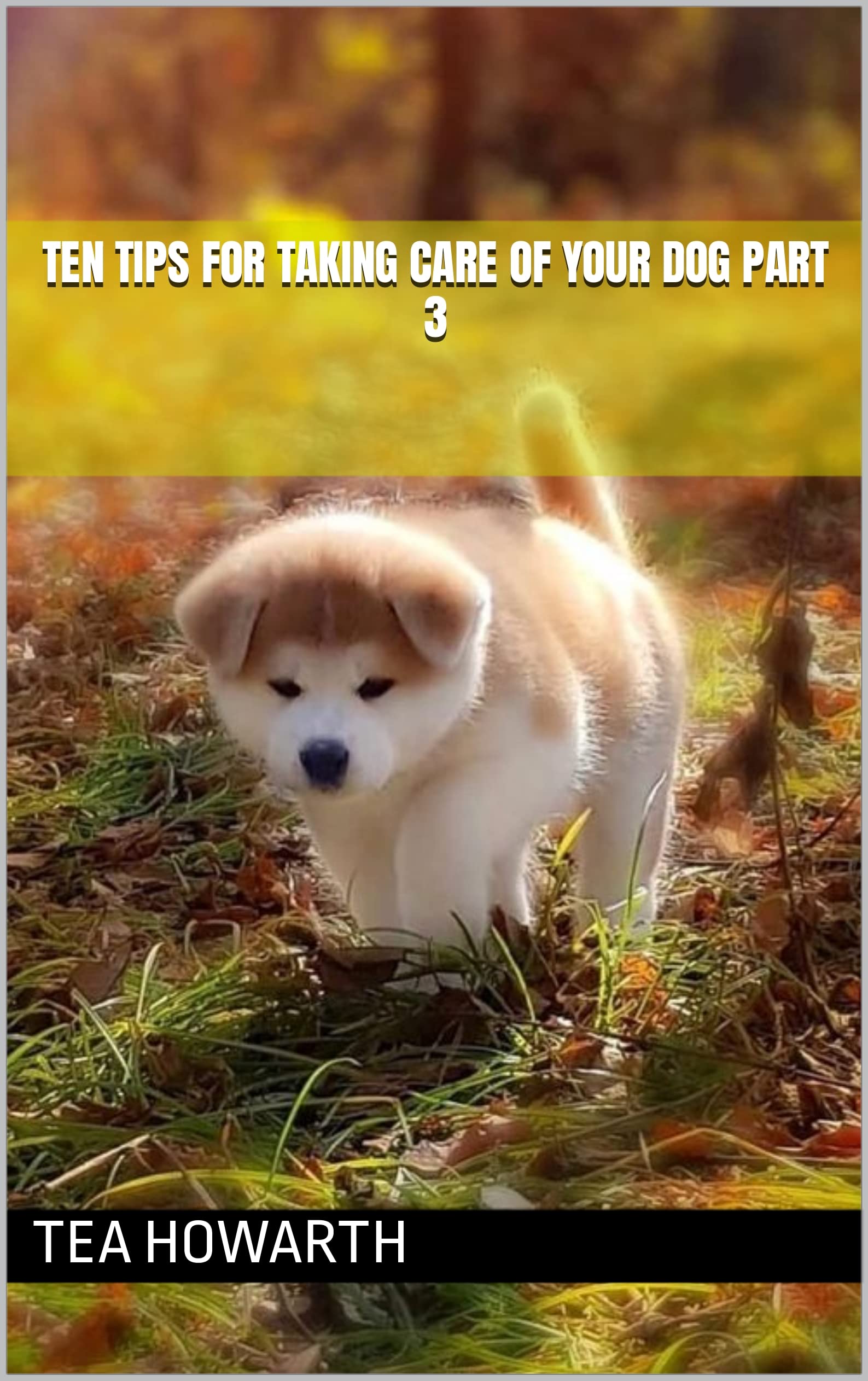TEN TIPS FOR TAKING CARE OF YOUR DOG PART 3 by Tea Howarth | Goodreads