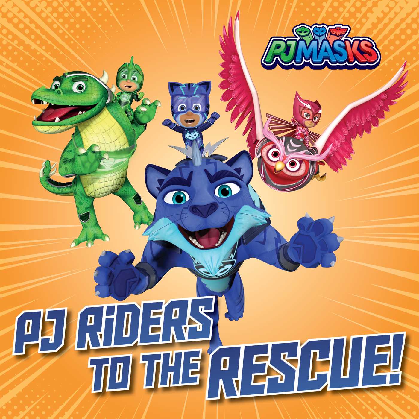 PJ Riders to the Rescue! (PJ Masks) by Maria Le | Goodreads