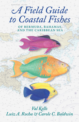 A Field Guide to Coastal Fishes of Bermuda, Bahamas, and the Caribbean ...