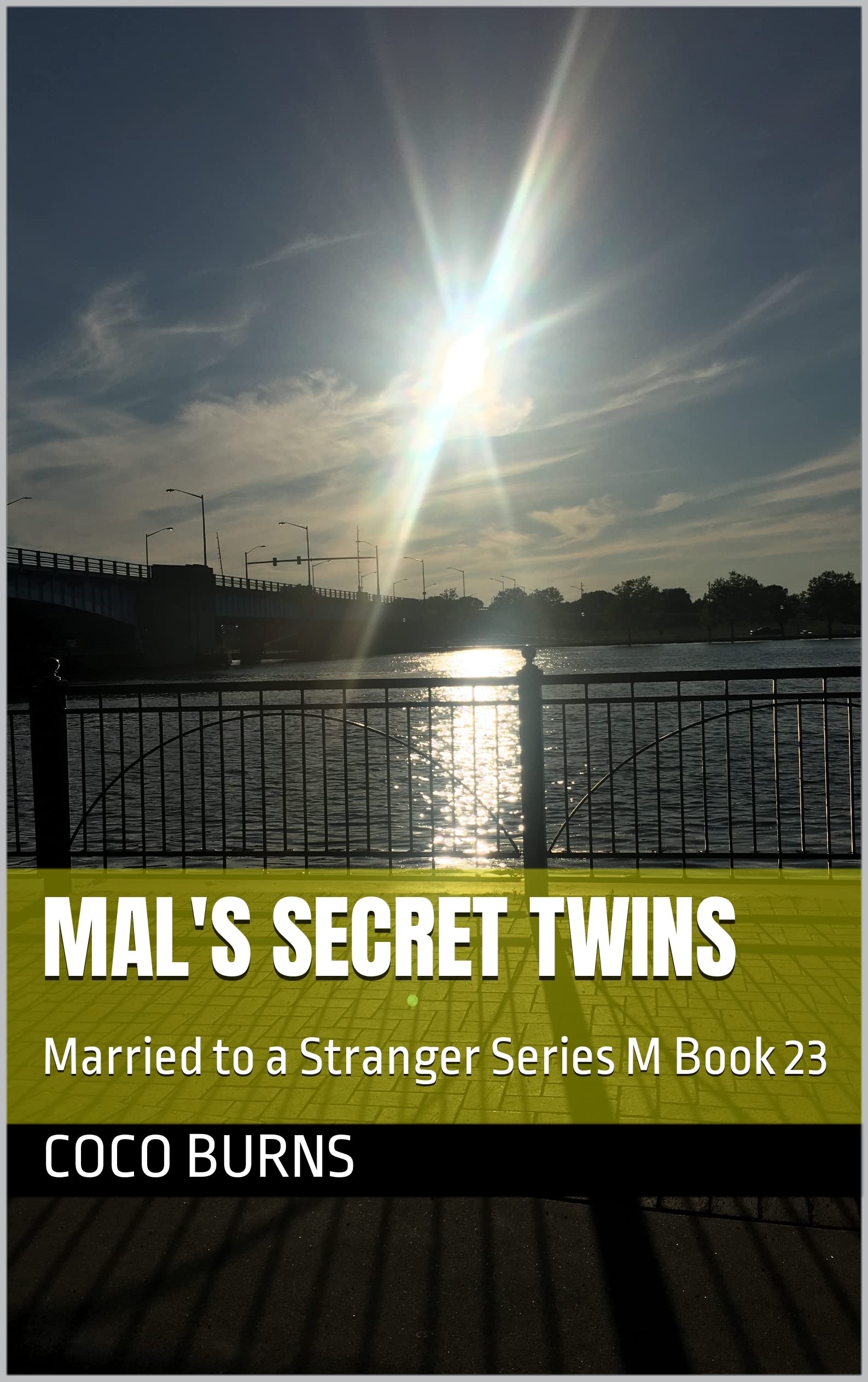 Mal's Secret Twins: Married to a Stranger Series M Book 23 by Coco ...