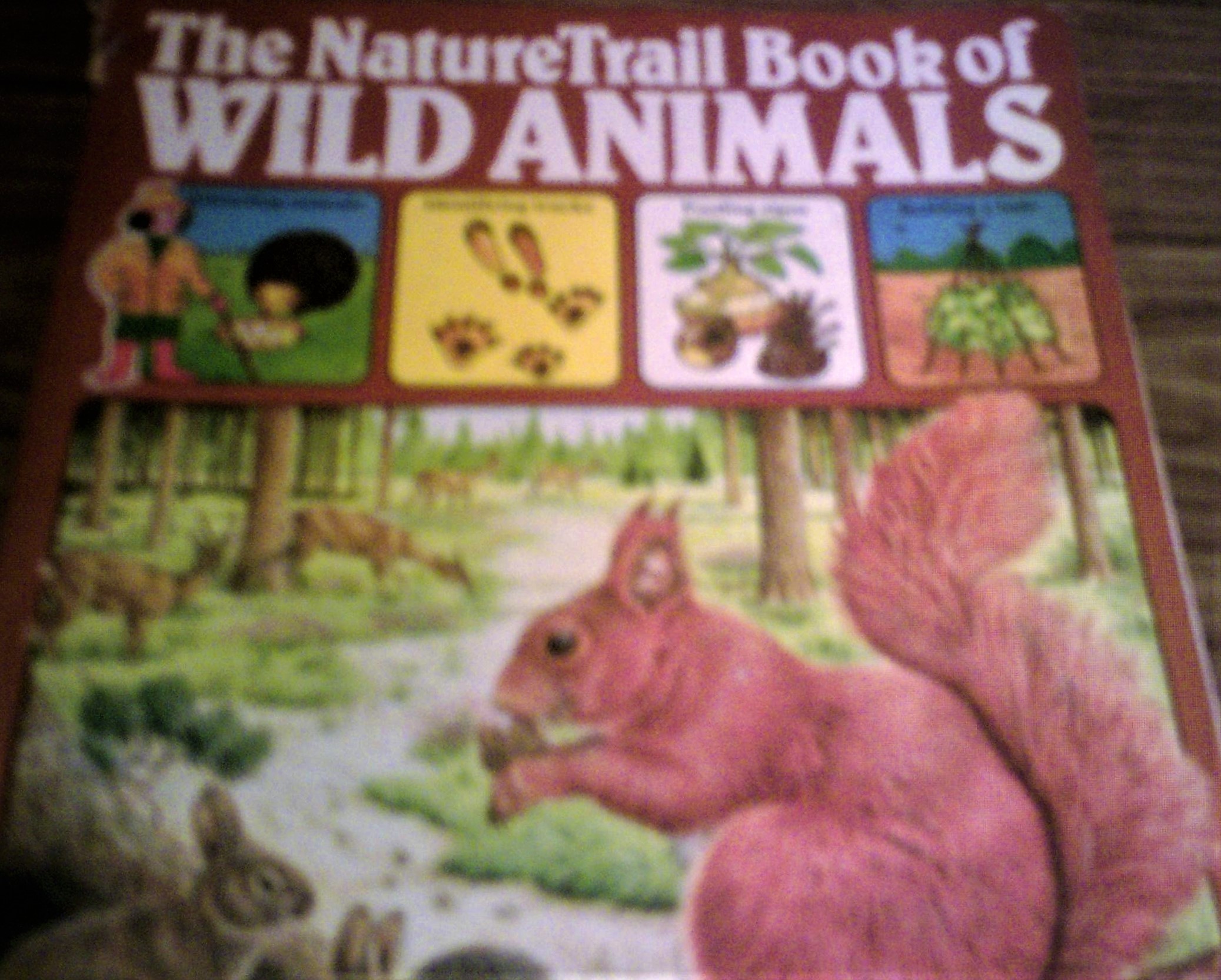 The Usborne Nature Trail Book of Wild Animals by Rosemary Hartill ...