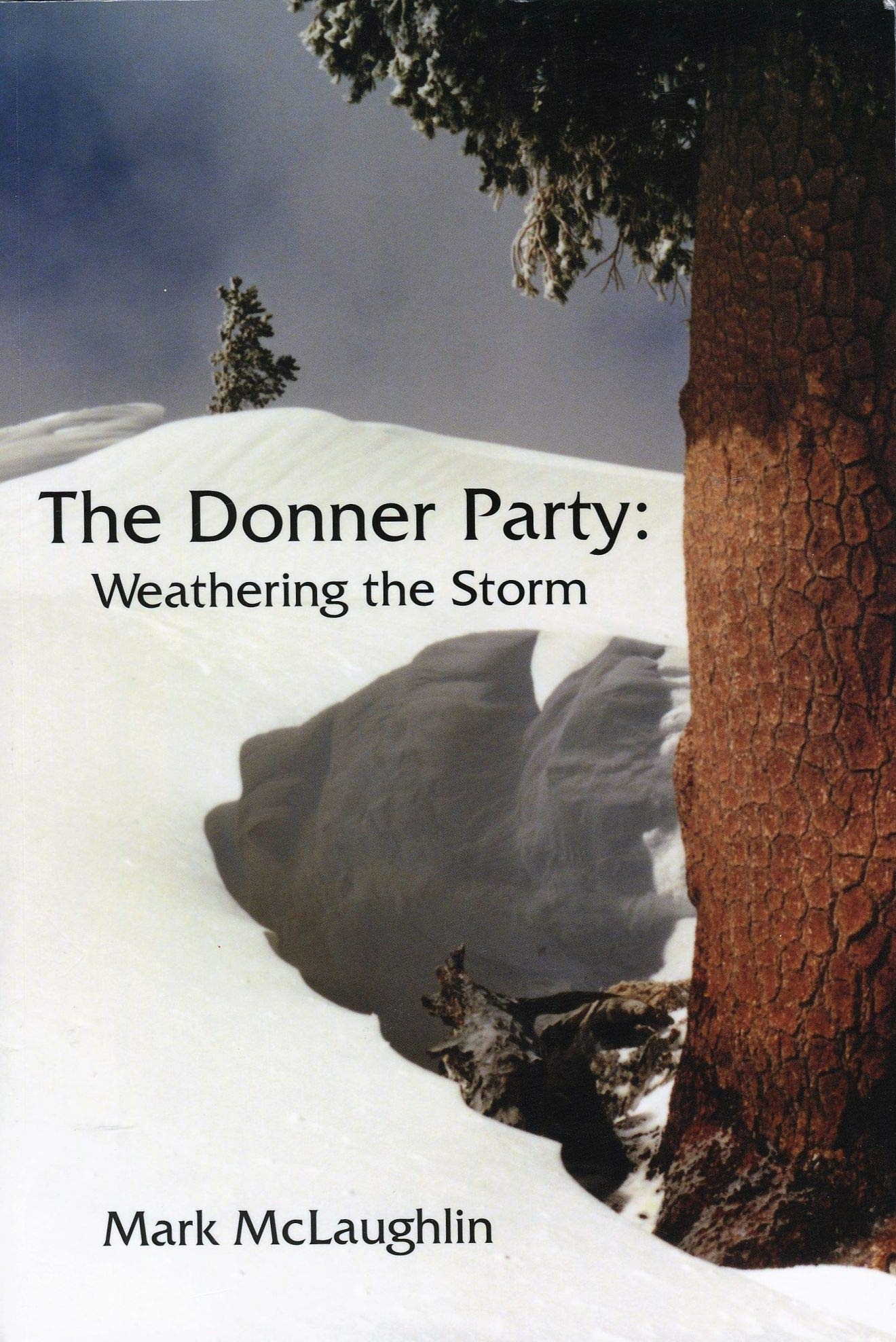 The Donner Party: Weathering the Storm by Mark McLaughlin | Goodreads