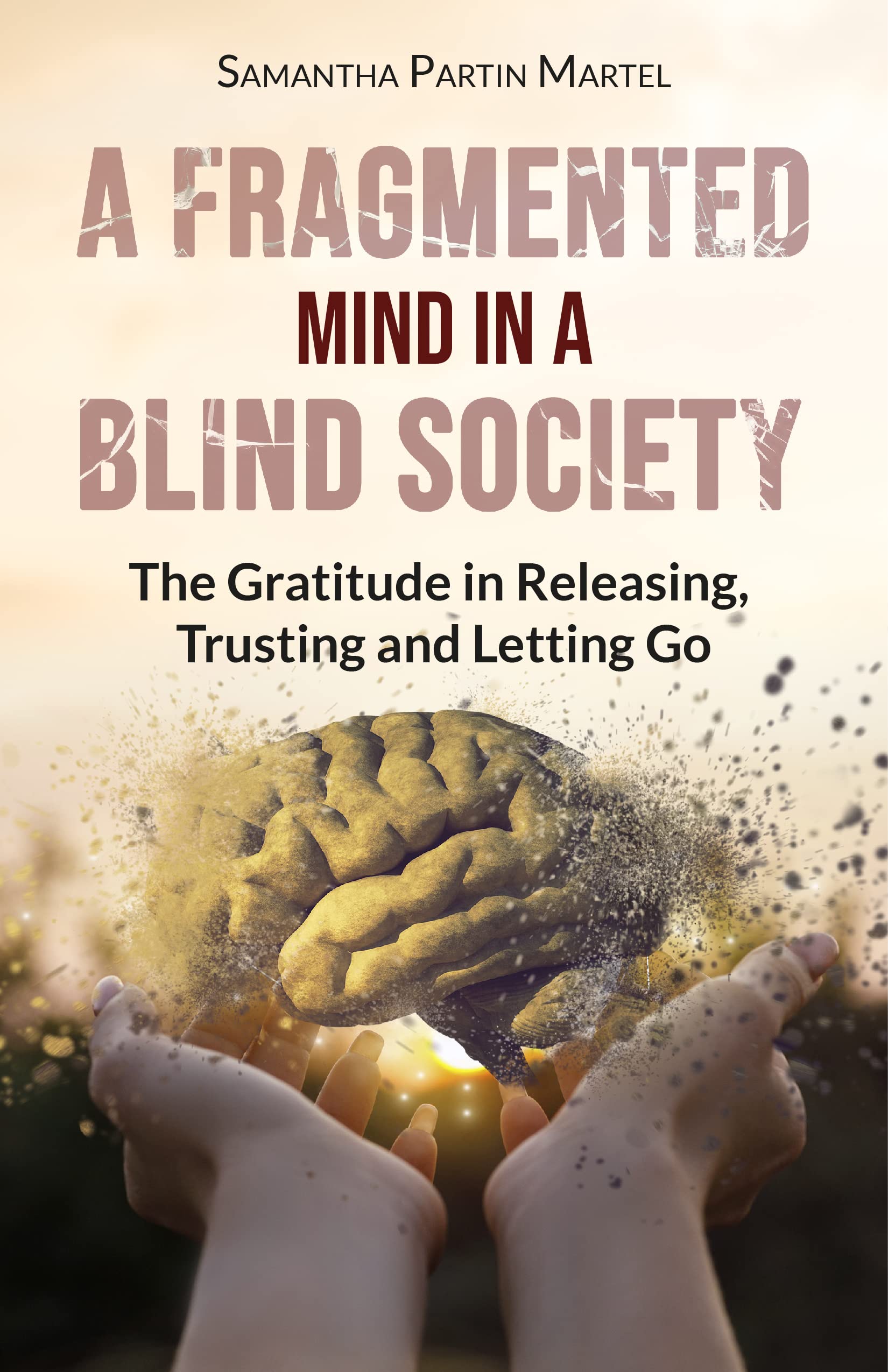 A Fragmented Mind in a Blind Society : The Gratitud in Releasing ...