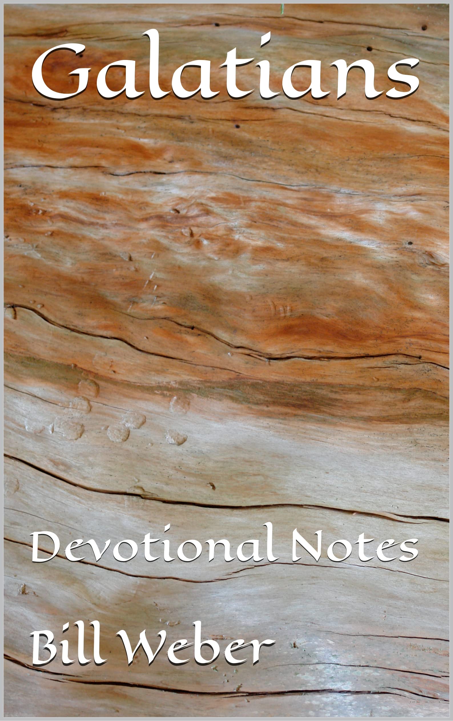 Galatians: Devotional Notes (New Testament Devotions) by Bill Weber ...