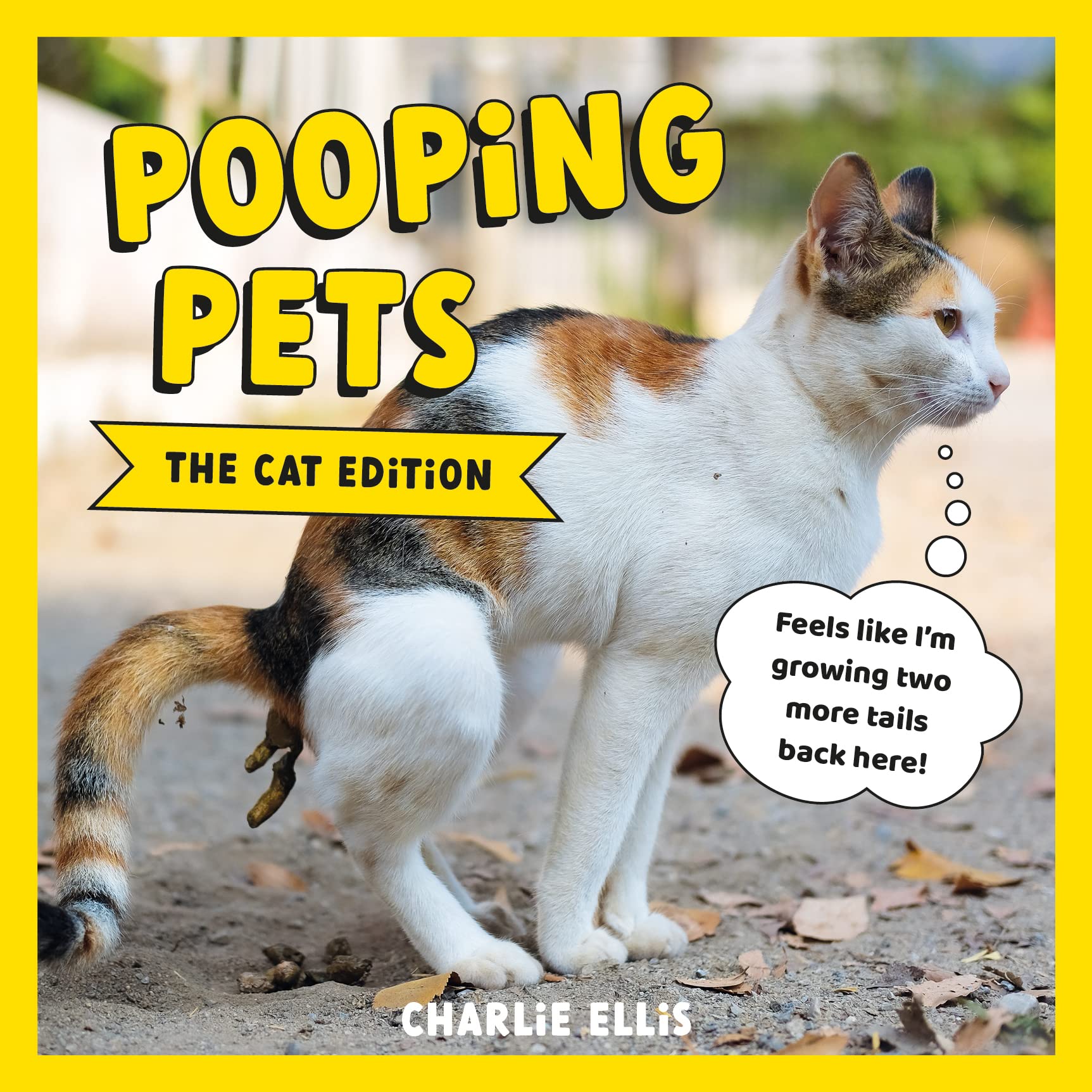 Pooping Pets: The Cat Edition: Hilarious Snaps of Kitties Taking a Dump ...
