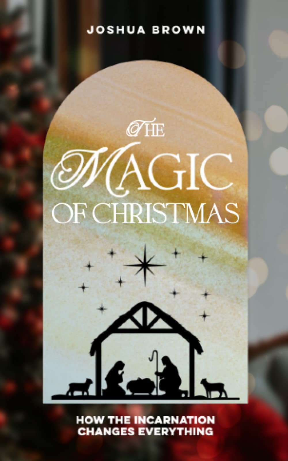 The Magic of Christmas: How the Incarnation Changes Everything by ...