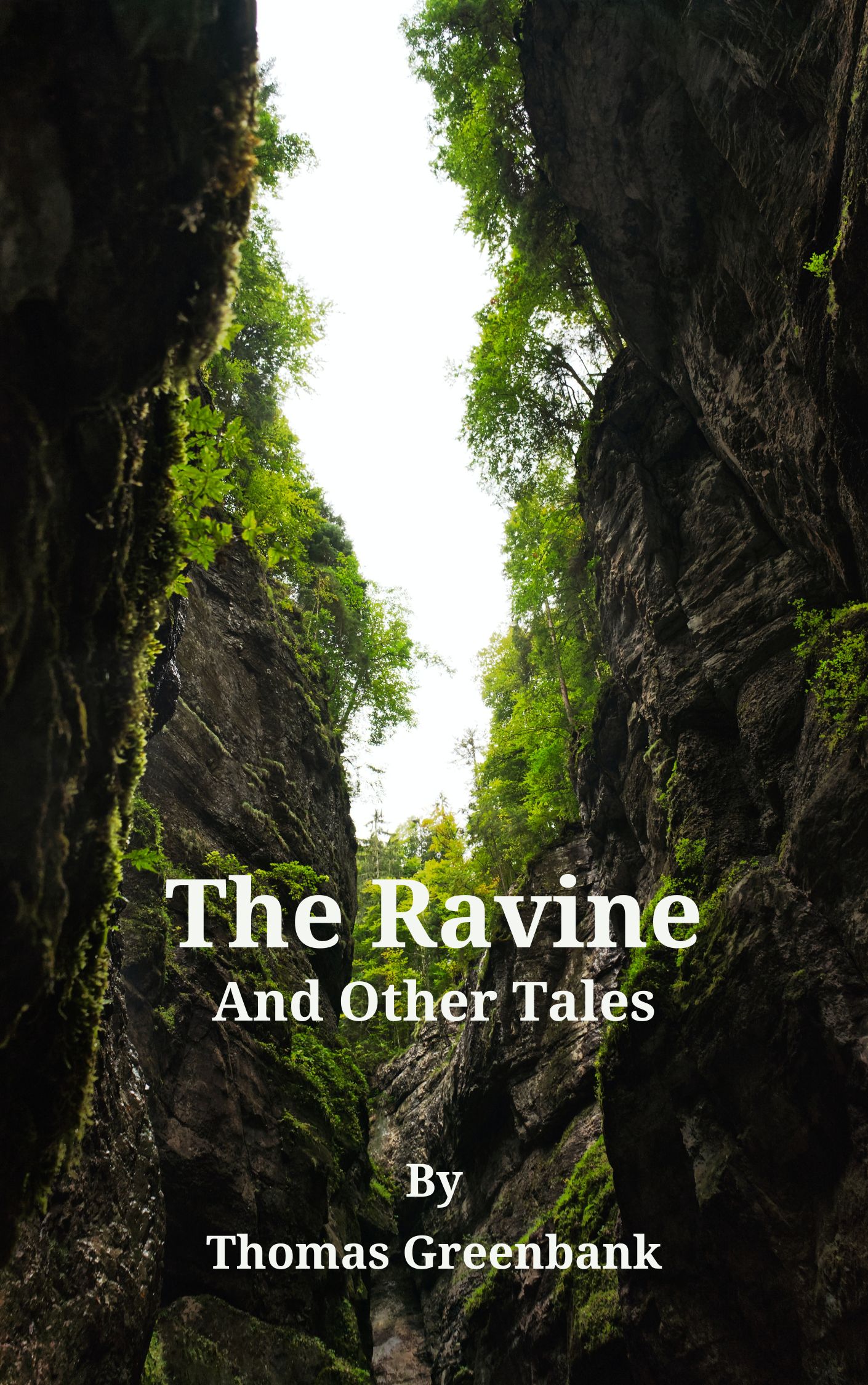 The Ravine and Other Tales by Thomas Greenbank | Goodreads