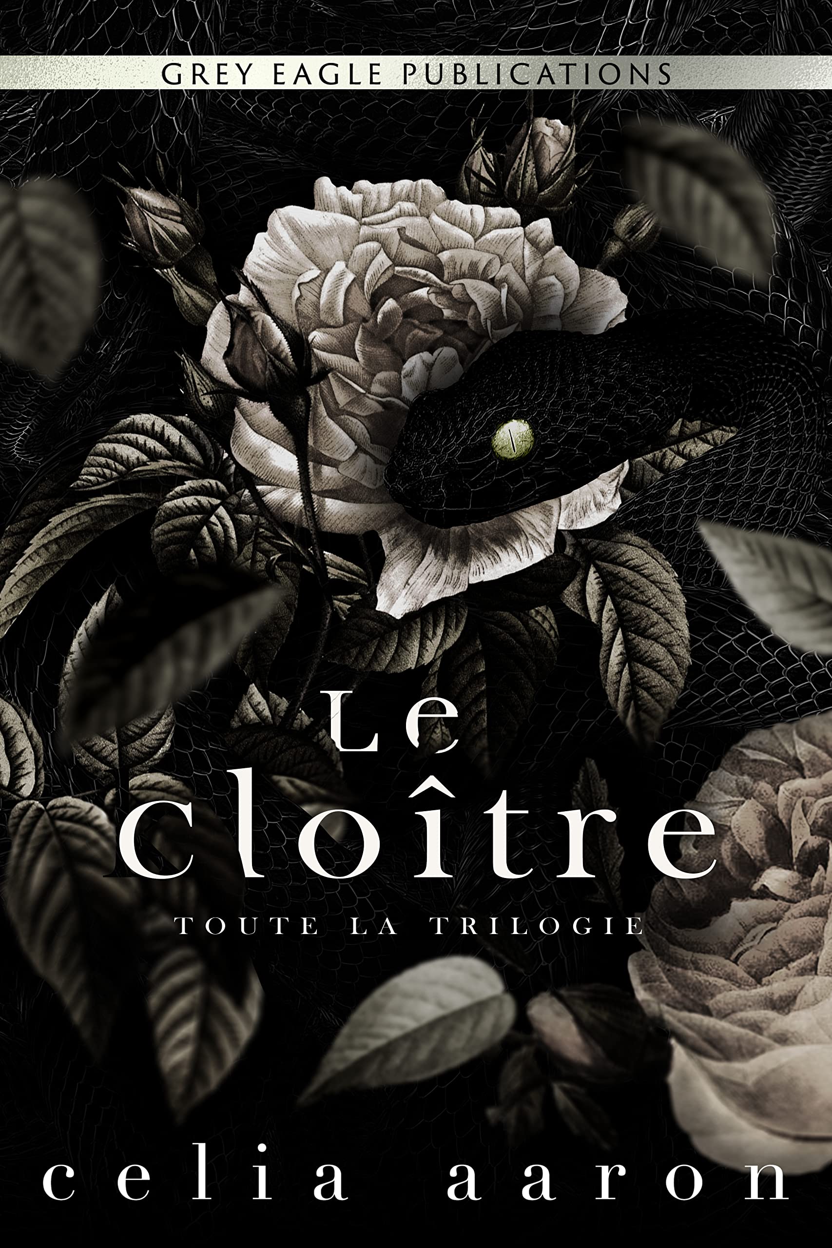 Le Cloître: Tout la Trilogie (French Edition) by Celia Aaron | Goodreads