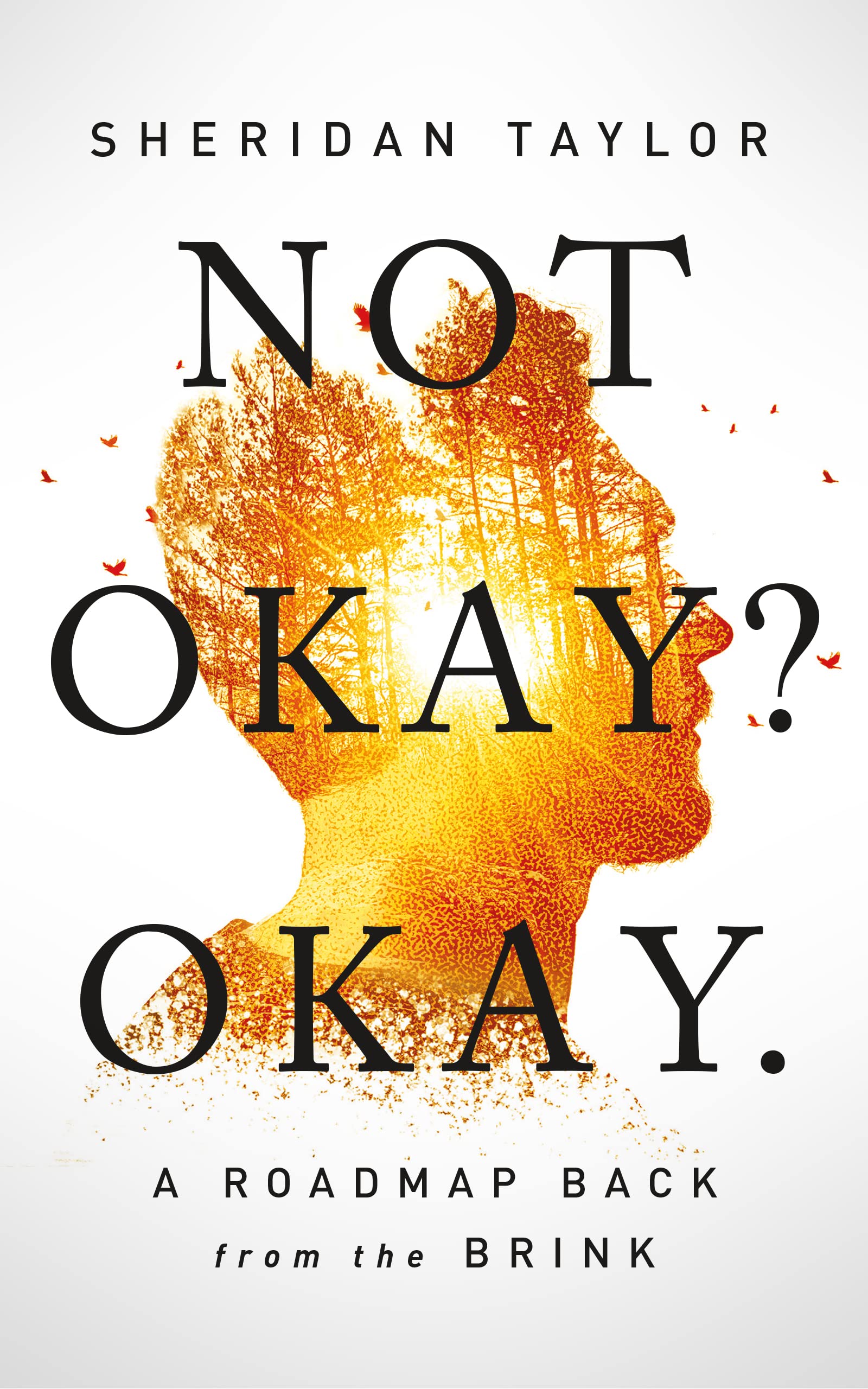 Not Okay? Okay: A Roadmap Back from the Brink by Sheridan Taylor ...