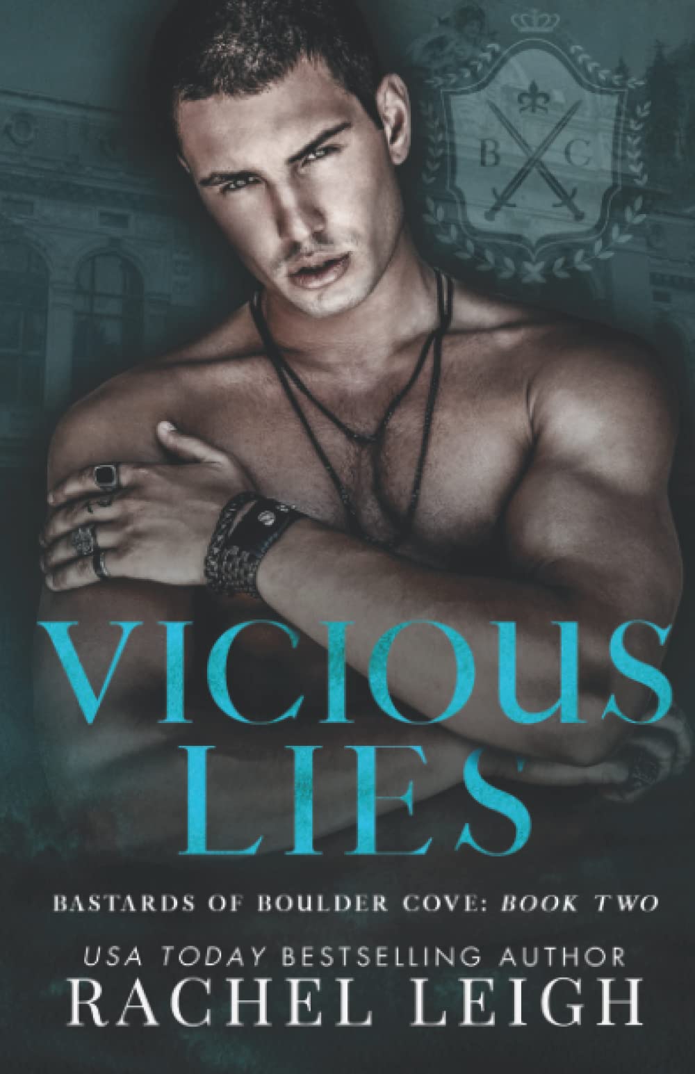 Vicious Lies Rachel Leigh