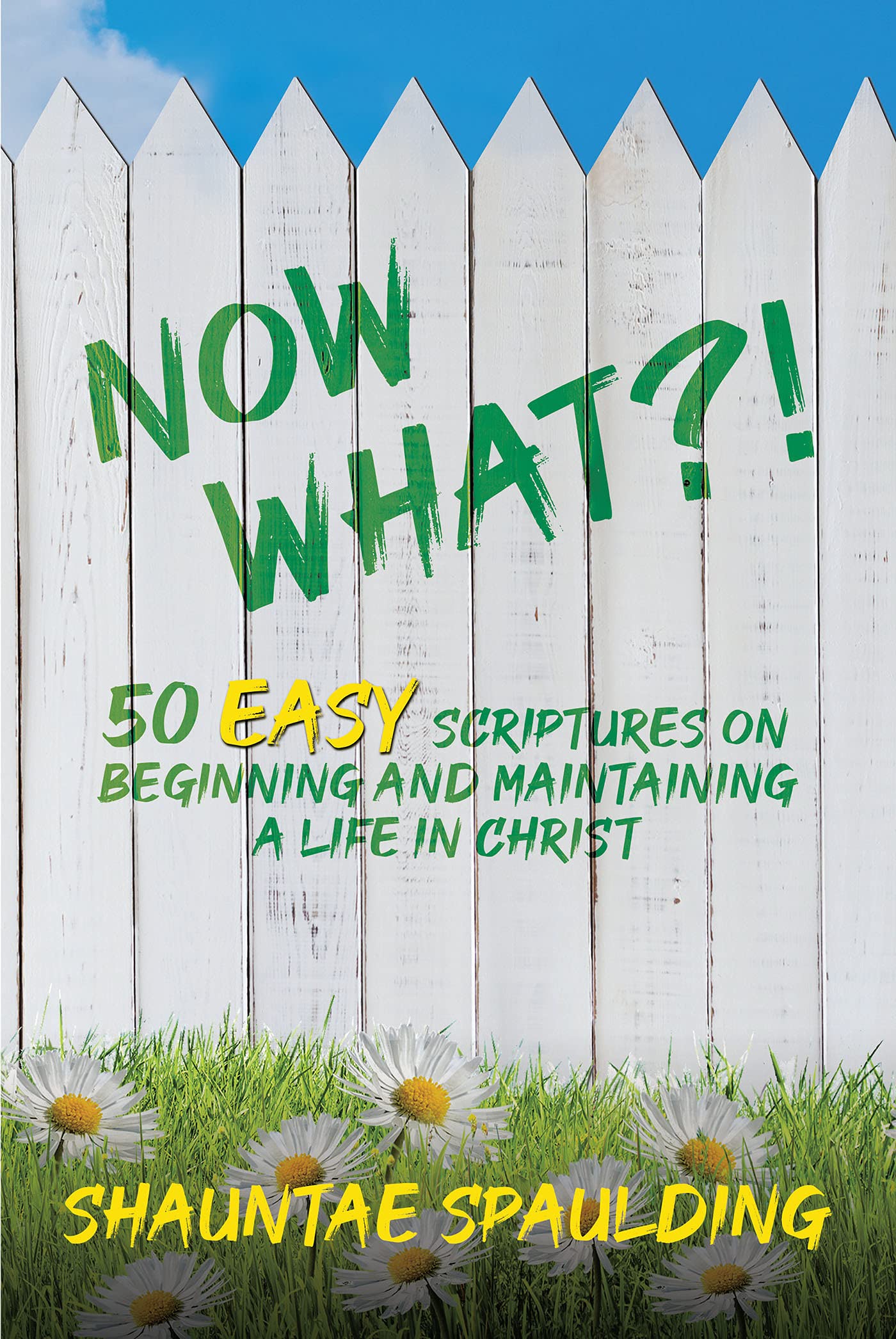 Now What?!: 50 Easy Scriptures on Beginning and Maintaining a Life in ...