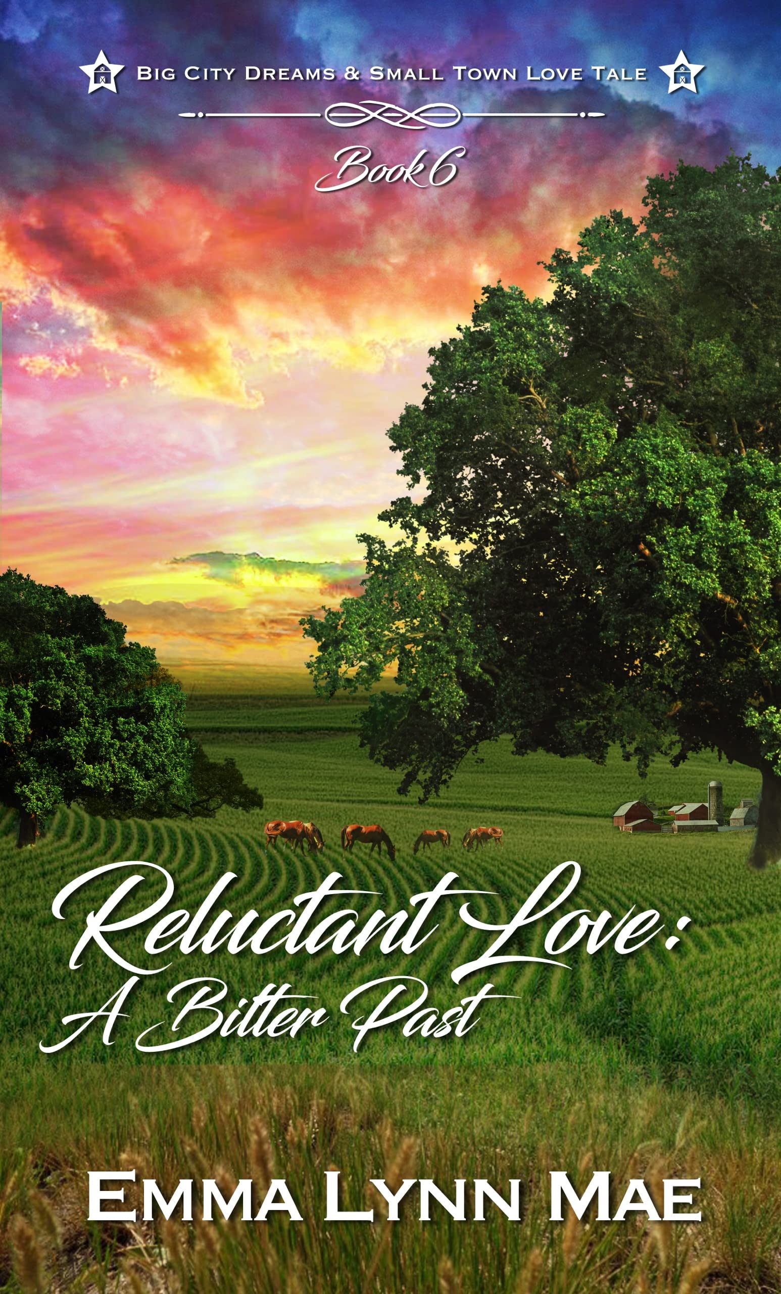Reluctant Love: A Bitter Past by Emma Lynn Mae | Goodreads