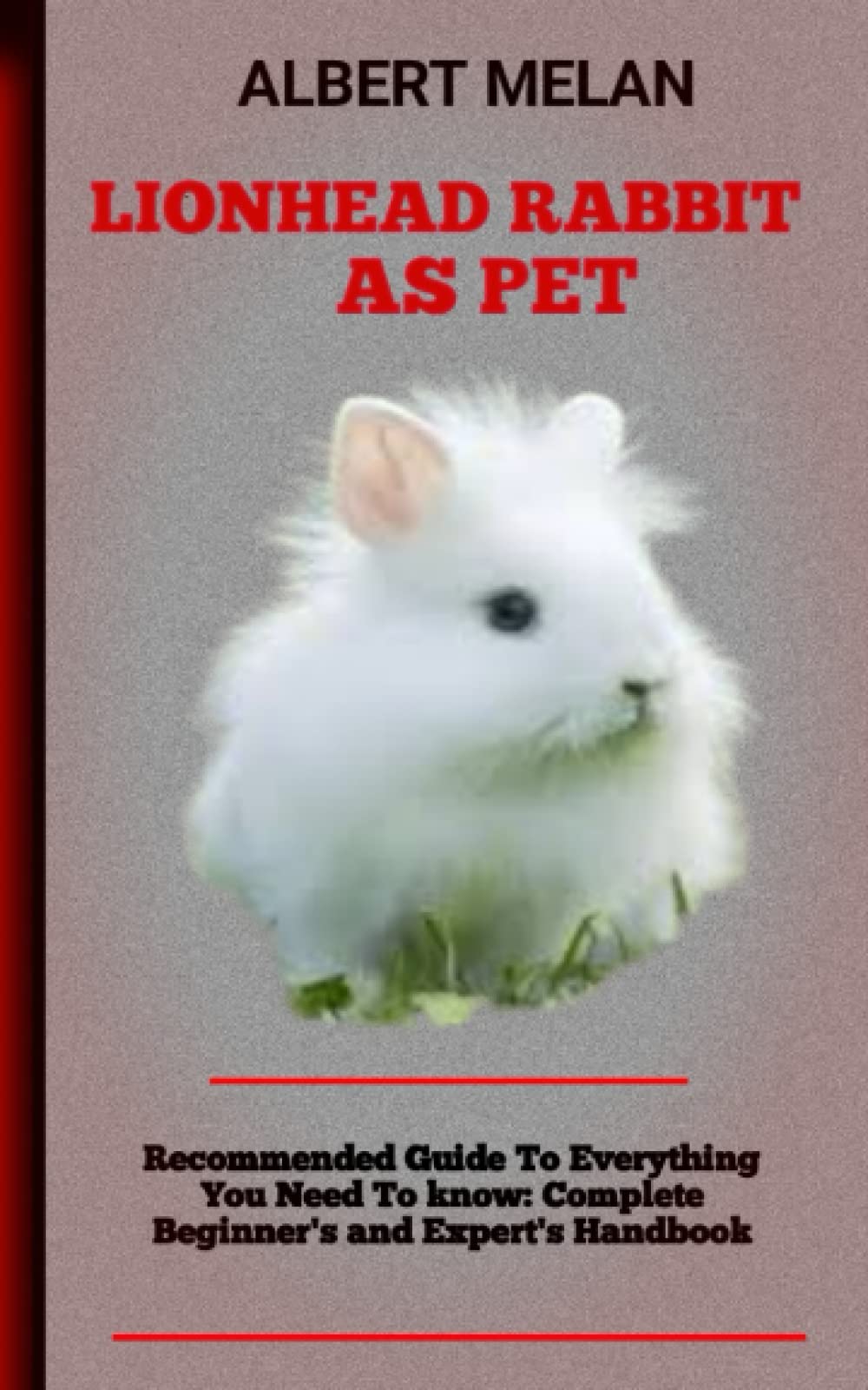 Lionhead Rabbit As Pet: The Complete Guide To Caring For Your Lionhead ...