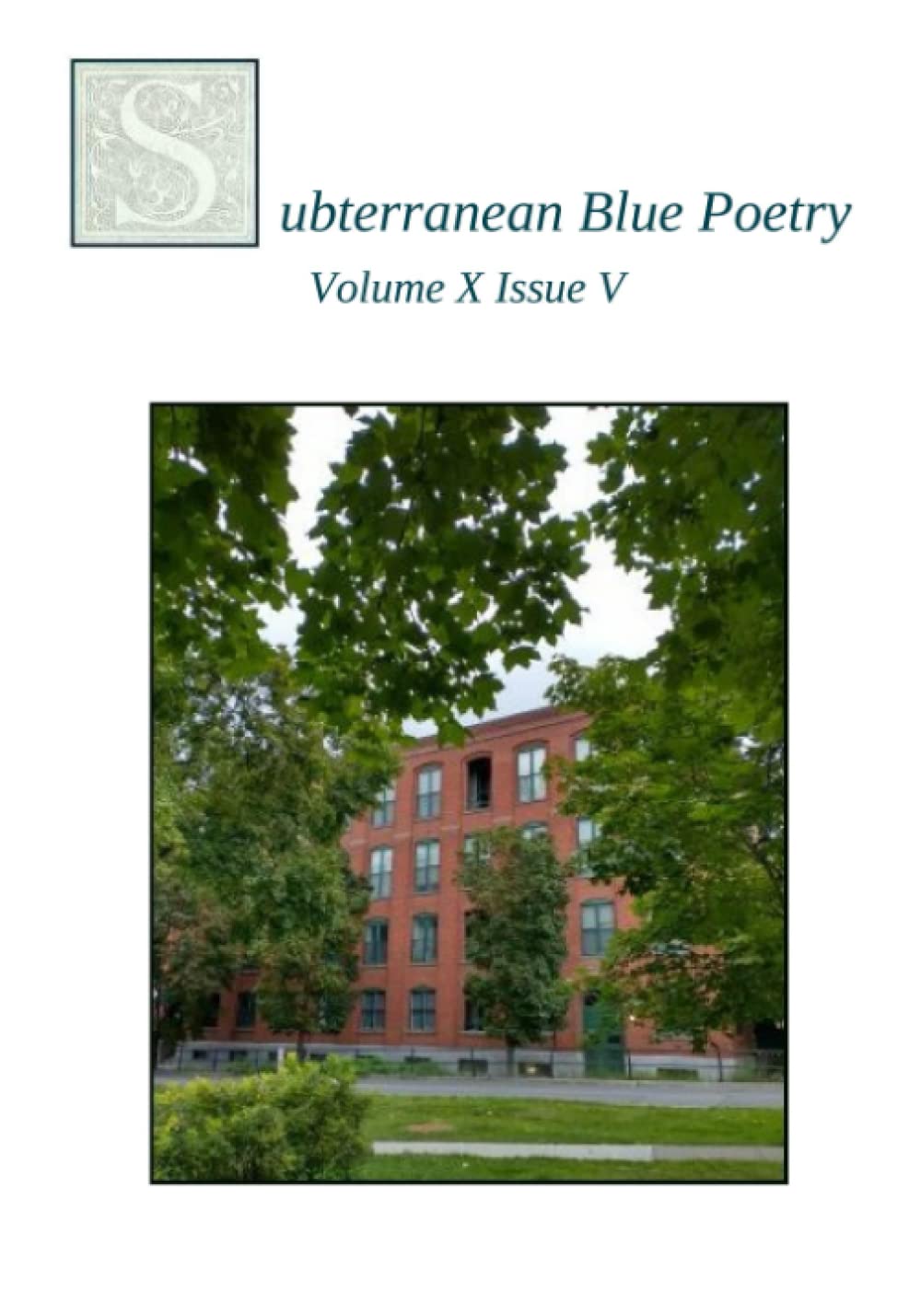 Subterranean Blue Poetry: Volume X Issue V by Rebecca Anne Banks ...