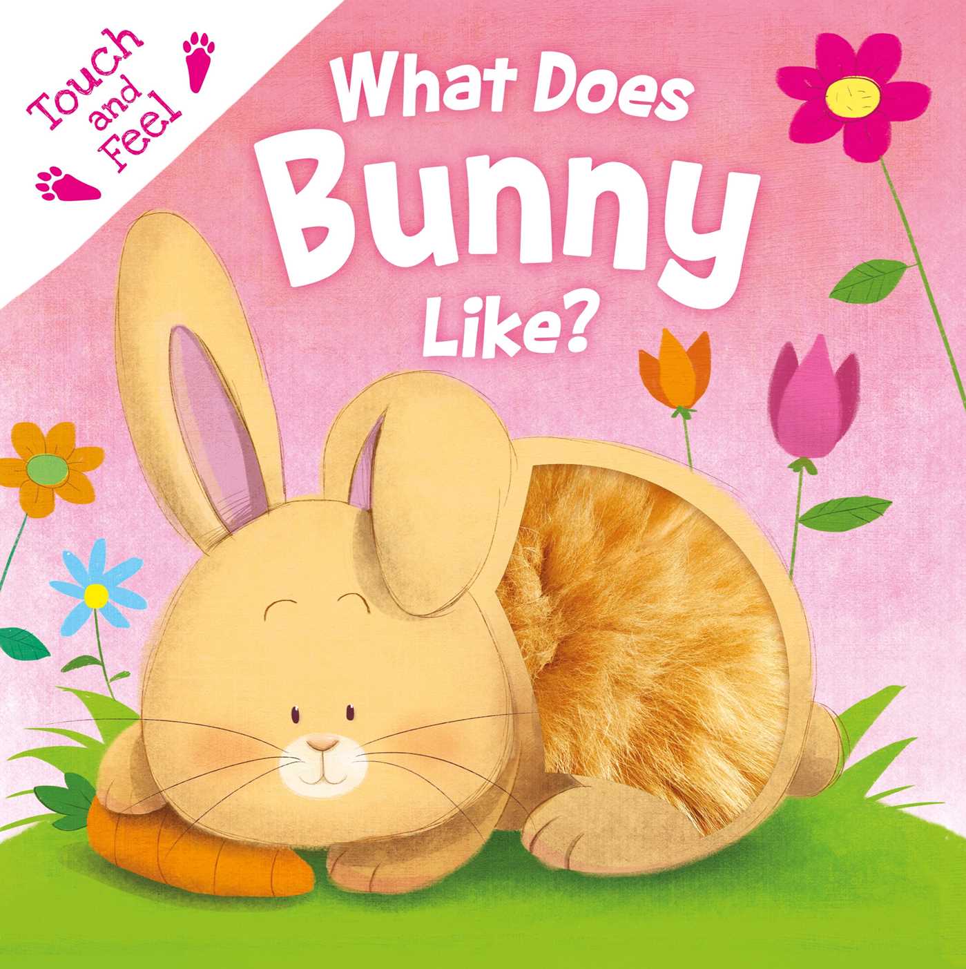 What Does Bunny Like?: Touch & Feel Board Book by Igloo Books | Goodreads