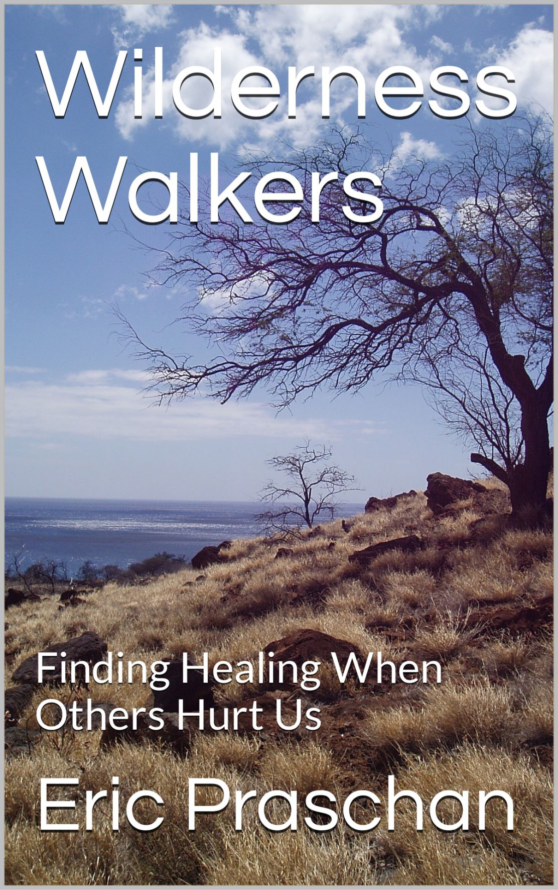 Wilderness Walkers: Finding Healing When Others Hurt Us by Eric ...
