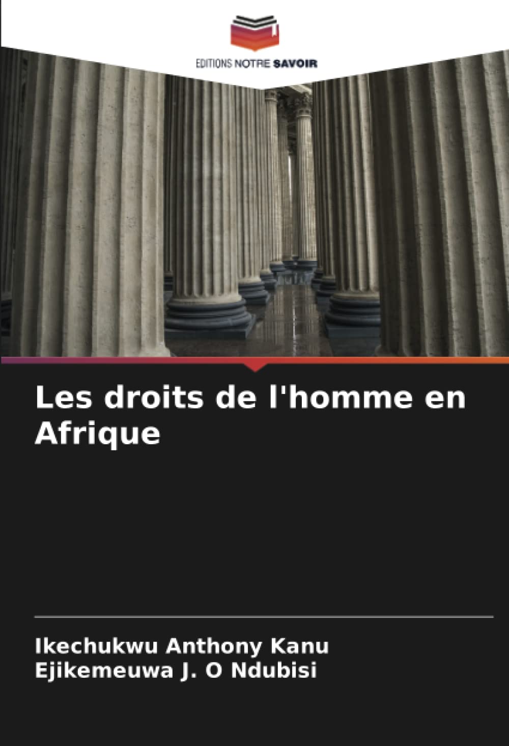 Les droits de l'homme en Afrique by Ikechukwu Anthony Kanu | Goodreads