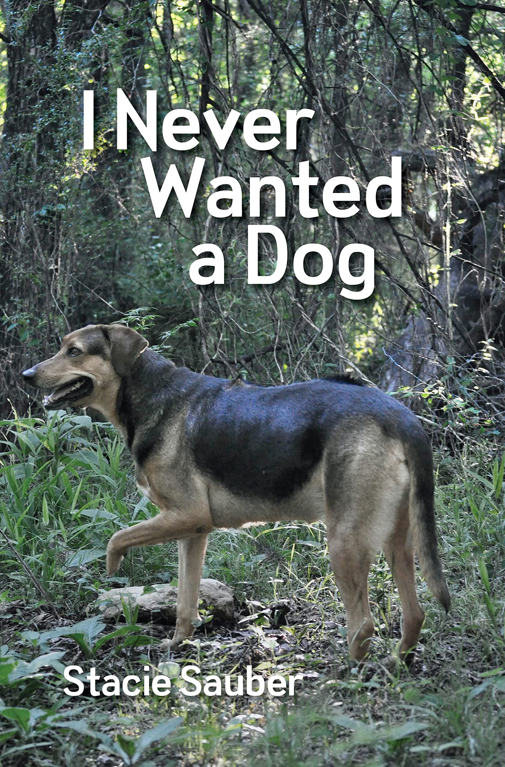 I Never Wanted a Dog by Stacie Sauber | Goodreads