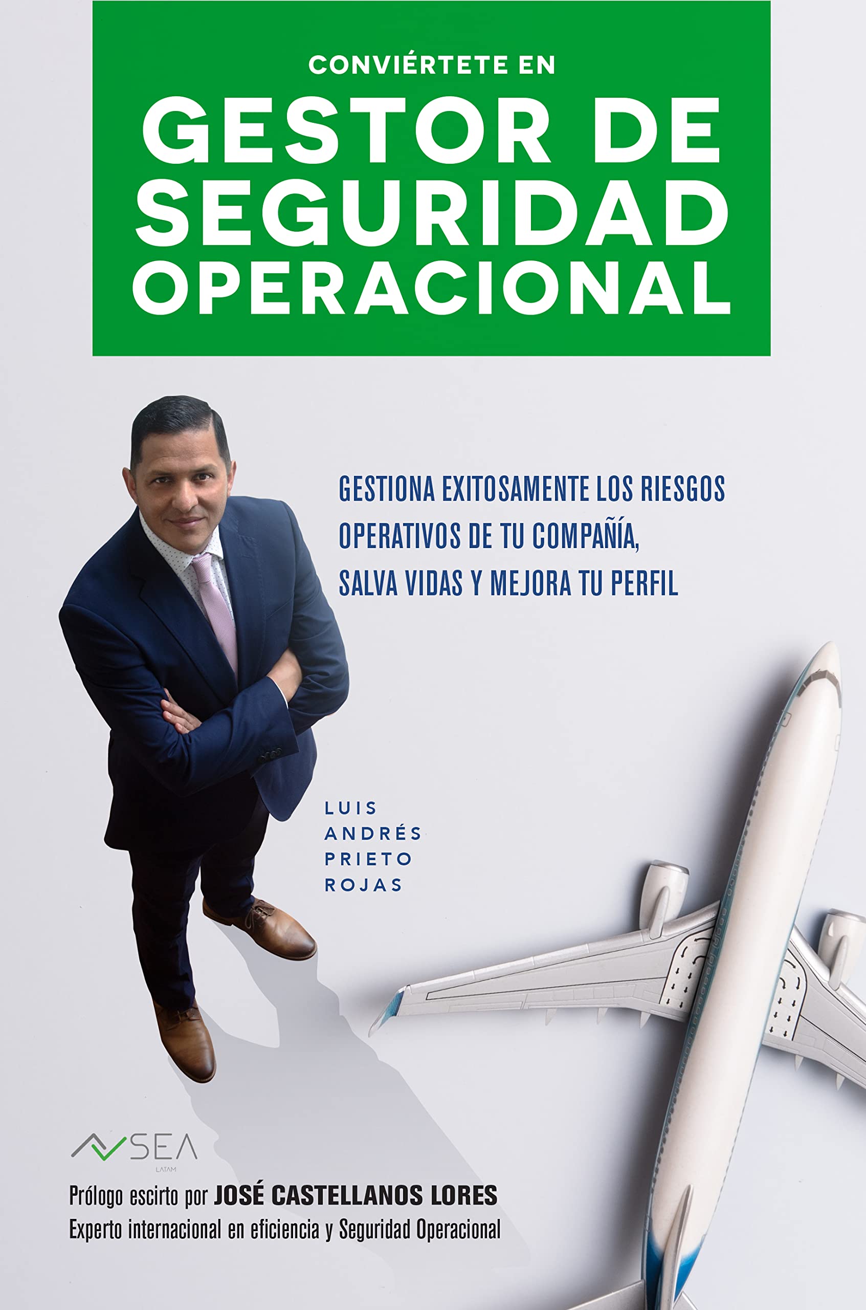 Conviértete en Gestor de Seguridad Operacional: Gestiona exitosamente ...