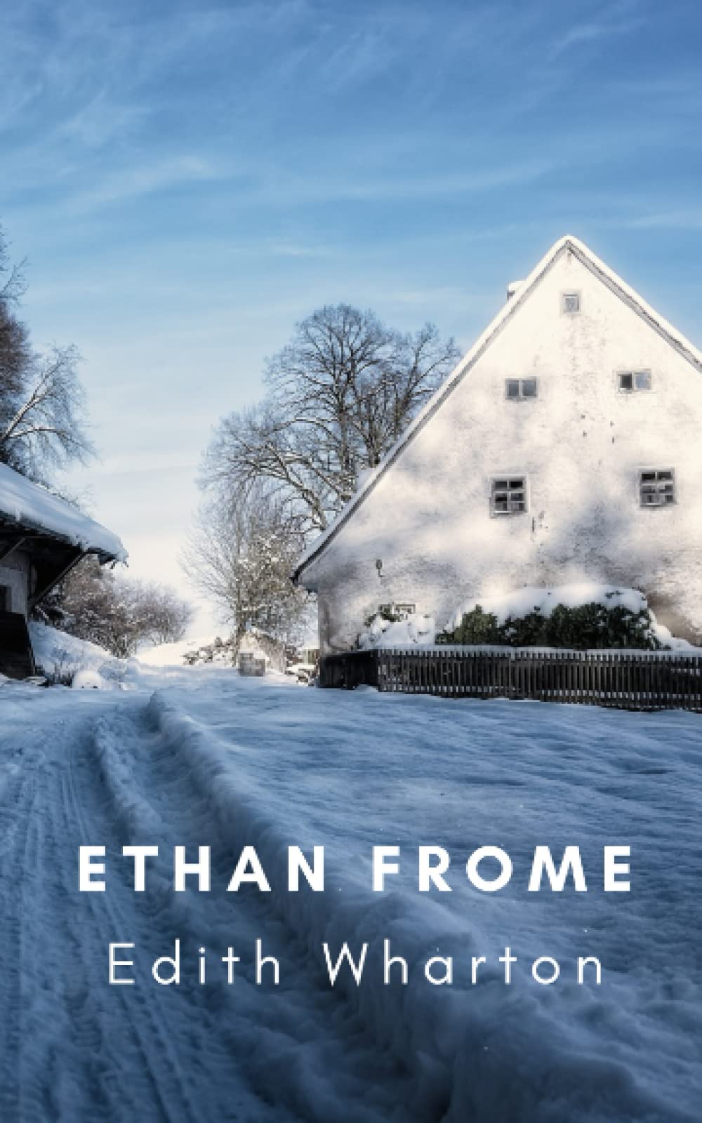 Ethan Frome: A Tragic Romance from an American Literature Classic by ...