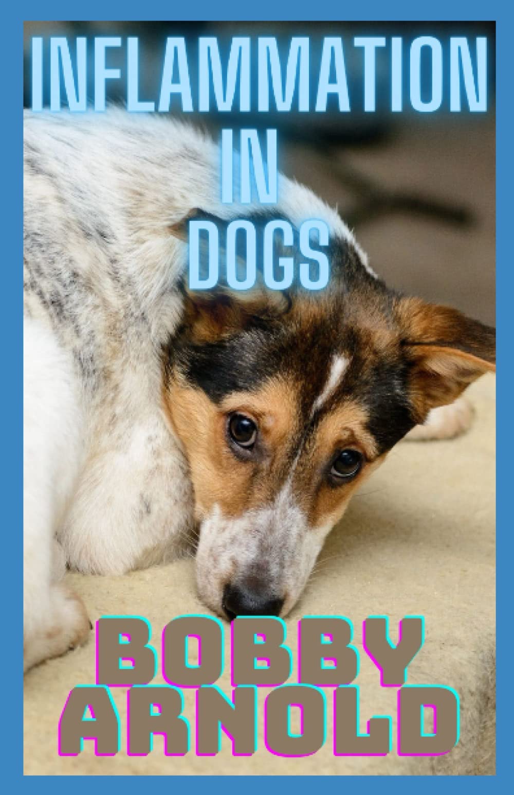 Inflammation In Dogs: Kеу Arеаѕ оf Inflammation in Dоgѕ And How To Take ...