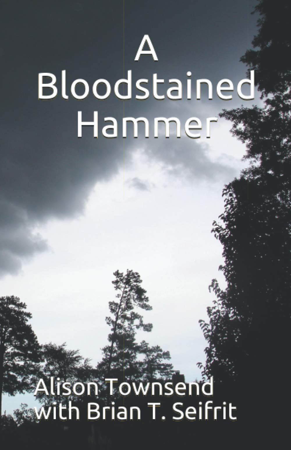 A Bloodstained Hammer by Alison Townsend | Goodreads