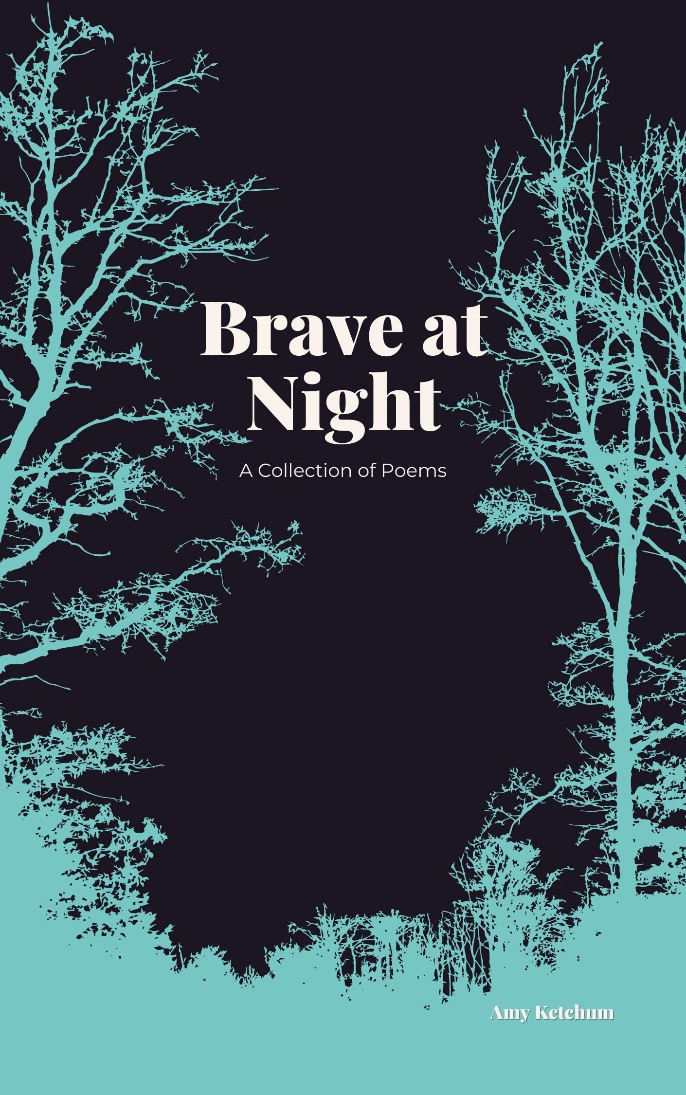 Brave at Night: A Collection of Poems by Amy Ketchum | Goodreads