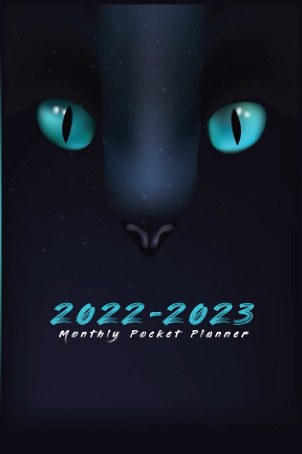 2022 2023 Monthly Pocket Planner Cats 2 Year Weekly And Monthly 