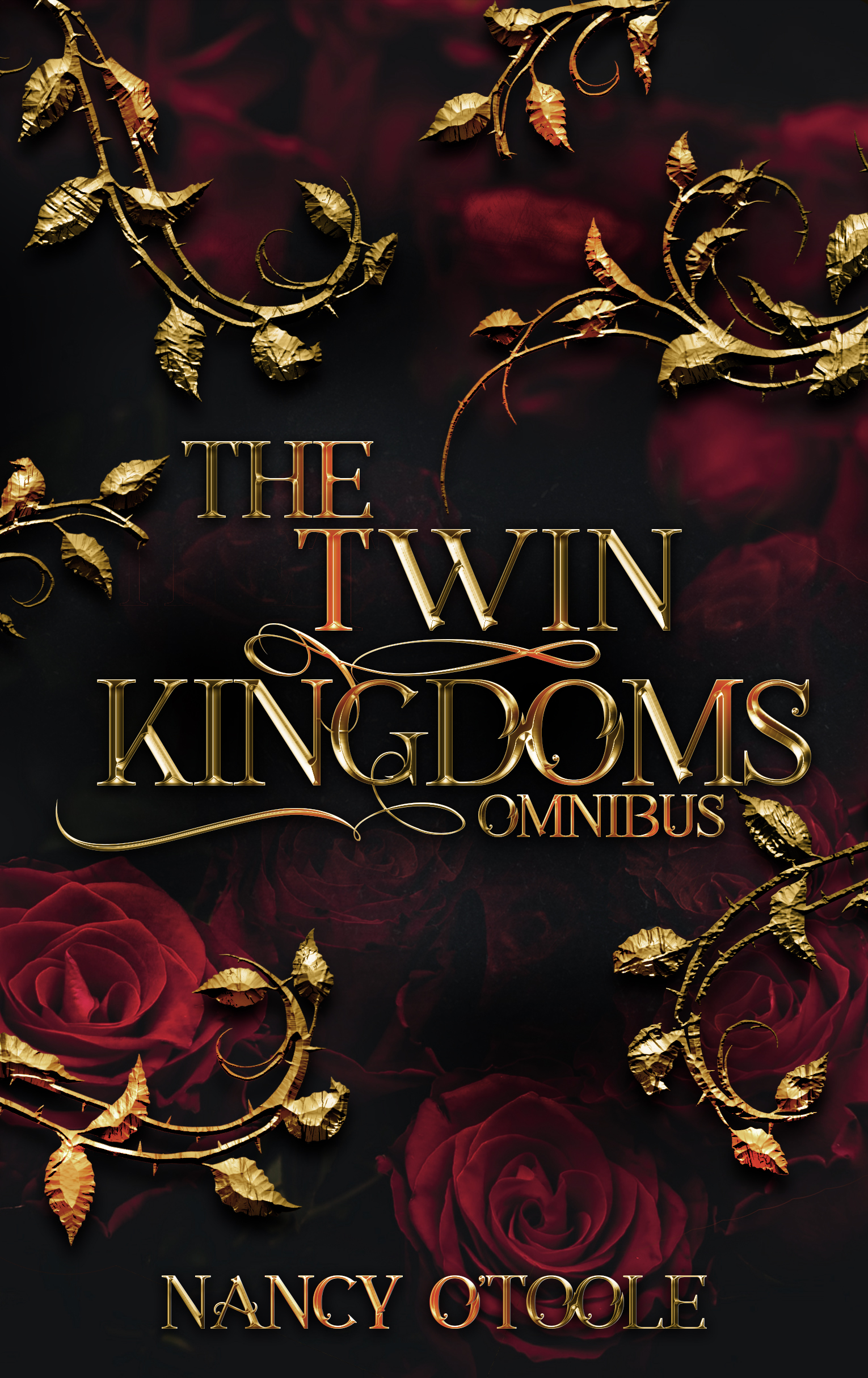 The Twin Kingdoms Omnibus (The Twin Kingdoms, #1-4) by Nancy O'Toole ...