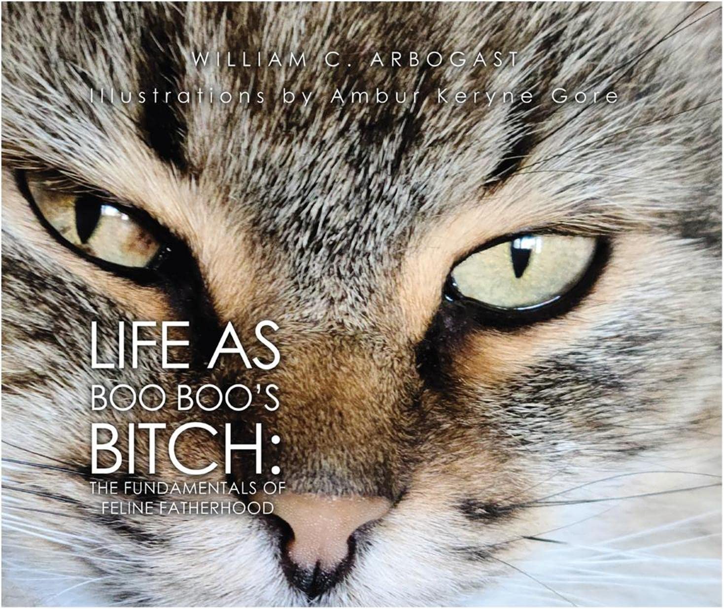 Life as Boo Boo's Bitch: The Fundamentals of Feline Fatherhood by ...