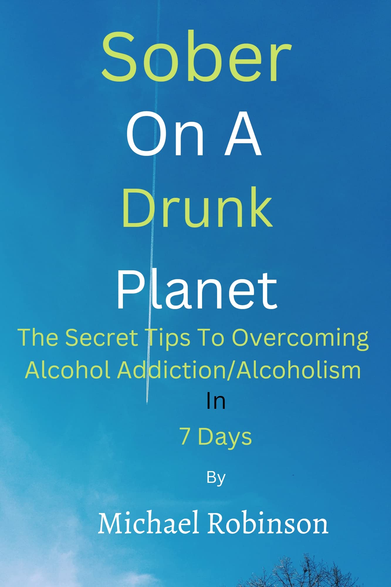 Sober On A Drunk Planet: The Secret Tips To Overcoming Alcohol ...