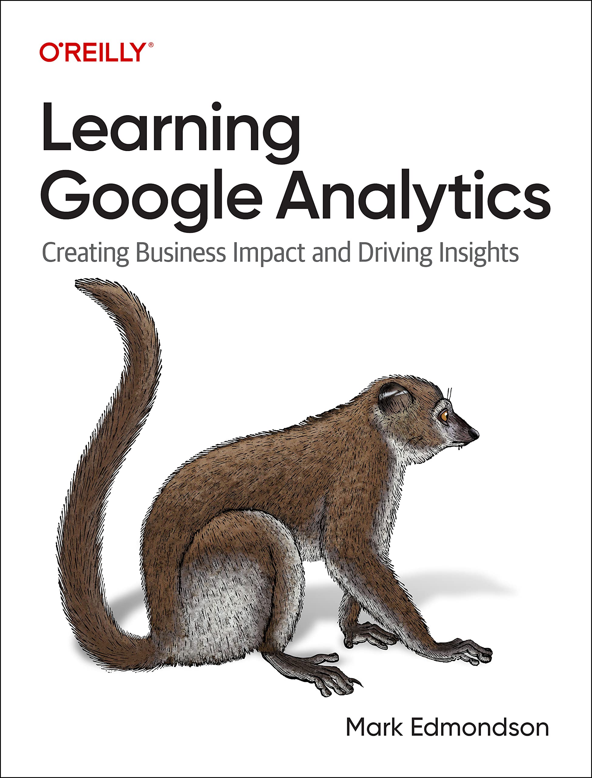 Learning Google Analytics: Creating Business Impact and Driving ...