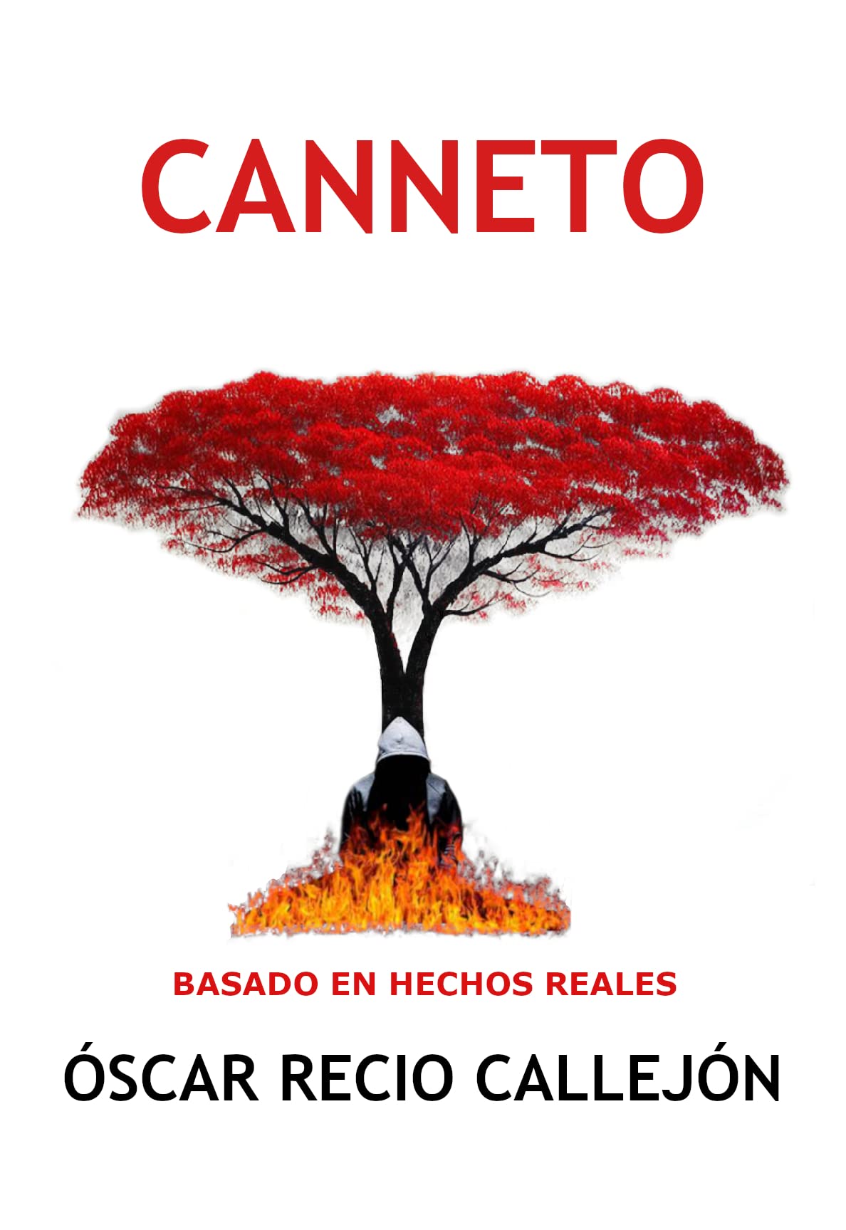 CANNETO (Spanish Edition) by ÓSCAR RECIO CALLEJÓN | Goodreads