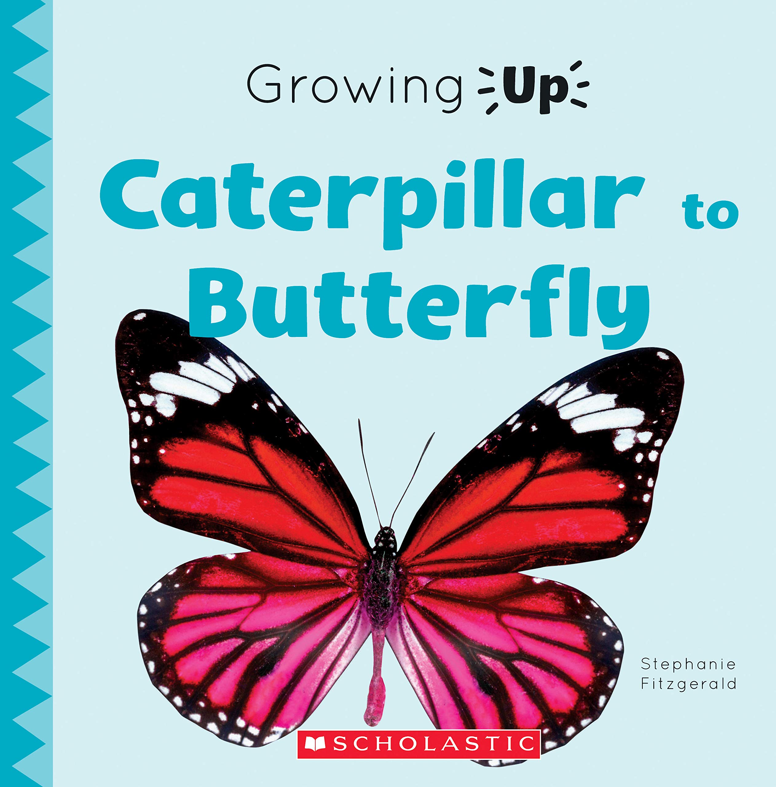 Caterpillar to Butterfly (Growing Up) by Stephanie Fitzgerald | Goodreads