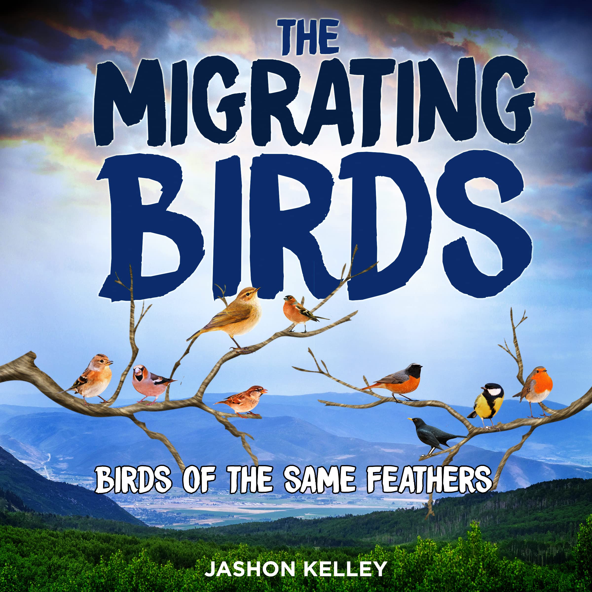 The Migrating Birds: Birds Of The Same Feathers by Jashon Kelley ...