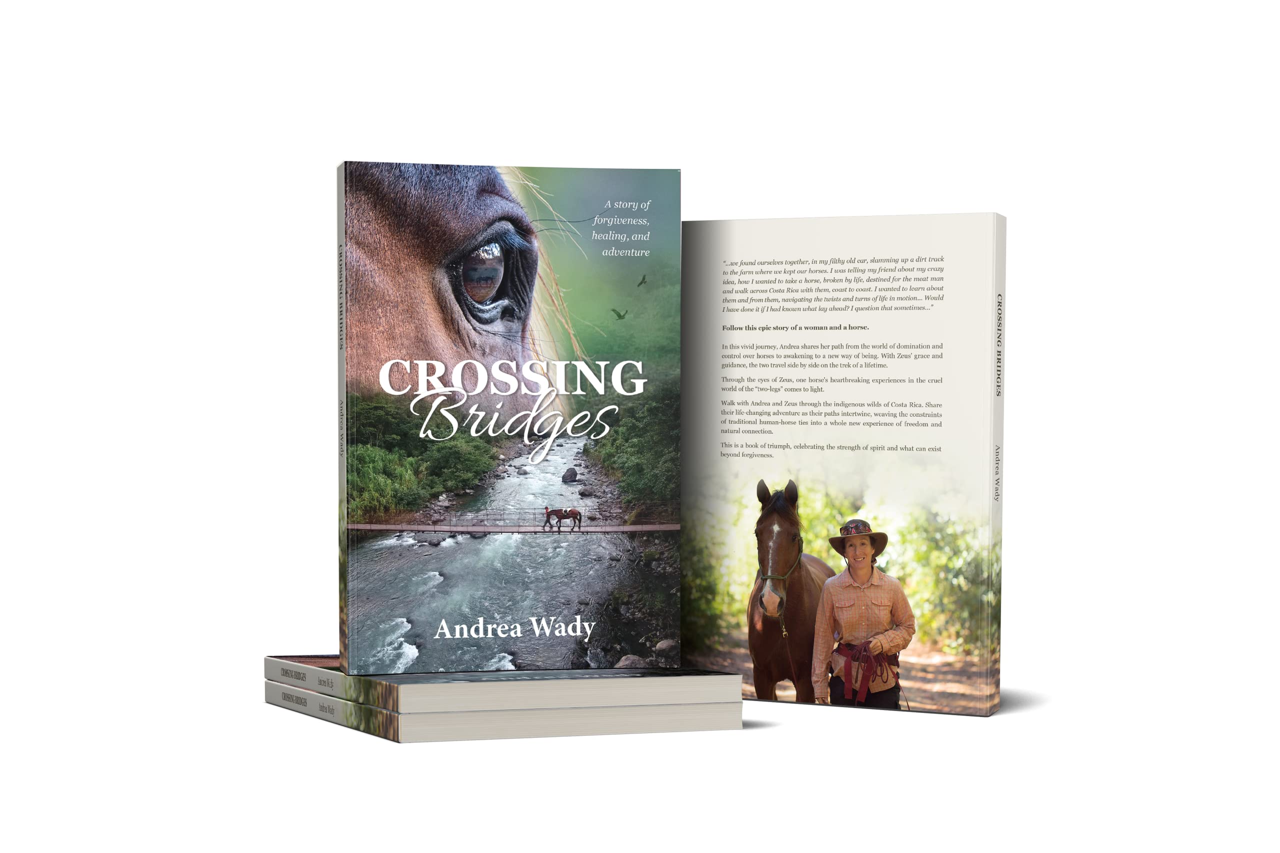 Crossing Bridges by Andrea Wady | Goodreads