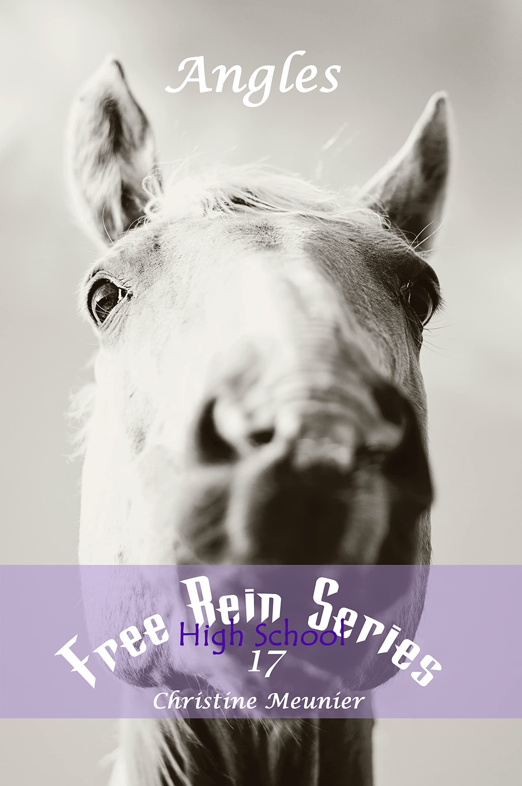 Angles (Free Rein Series Book 17) by Christine Meunier | Goodreads