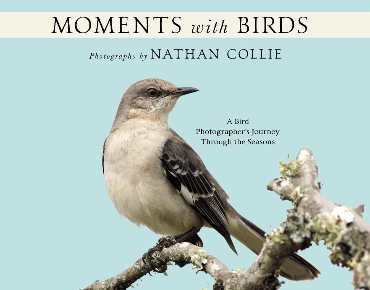 Moments with Birds: A Bird Photographer's Journey Through the Seasons ...