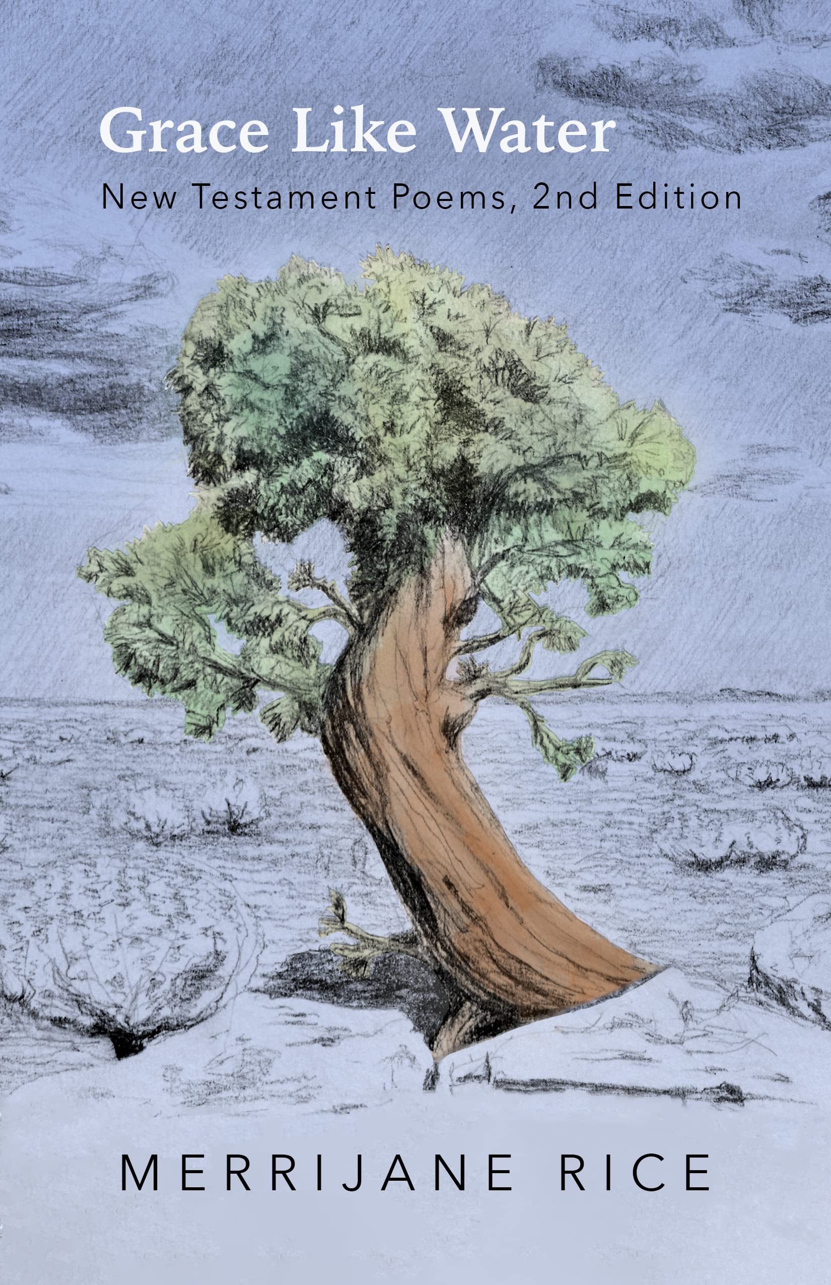 Grace Like Water: New Testament Poems (Follow) by Merrijane Rice ...