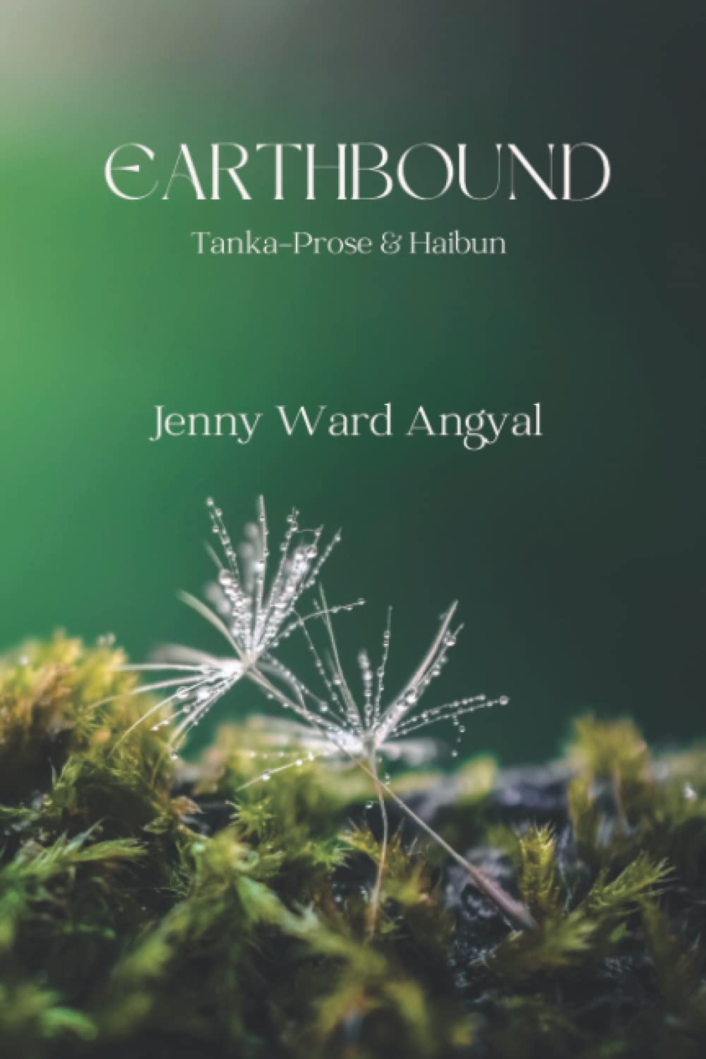 Earthbound: Tanka-prose & Haibun by Jenny Ward Angyal | Goodreads